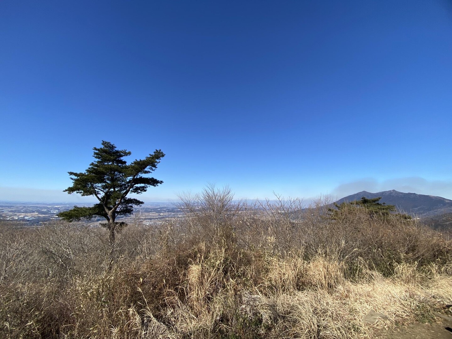 宝篋山・尖浅間山 / THYさんの宝篋山・富岡山の活動データ | YAMAP / ヤマップ