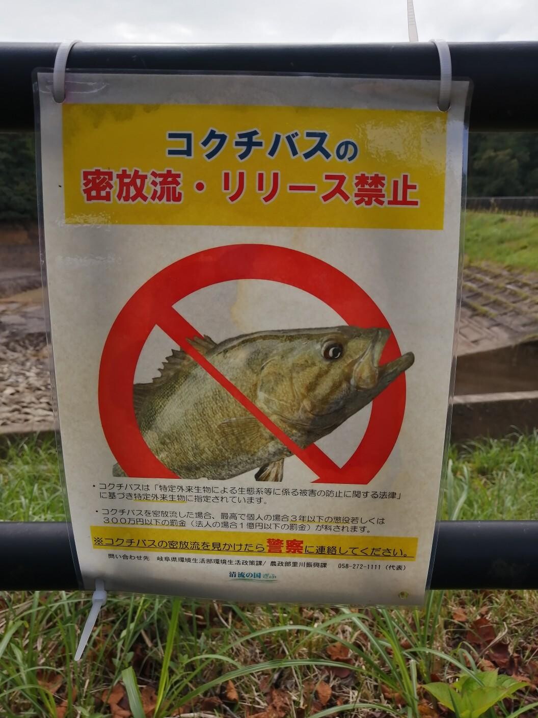 西坂ため池 / nono-chiさんのブラザーの森 郡上の活動データ | YAMAP / ヤマップ