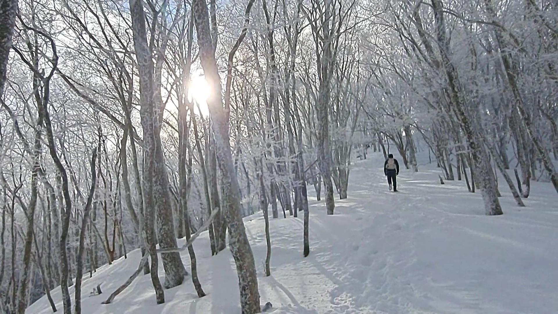 護摩壇山・龍神岳 / HEE さんの護摩壇山・龍神岳の活動データ | YAMAP / ヤマップ