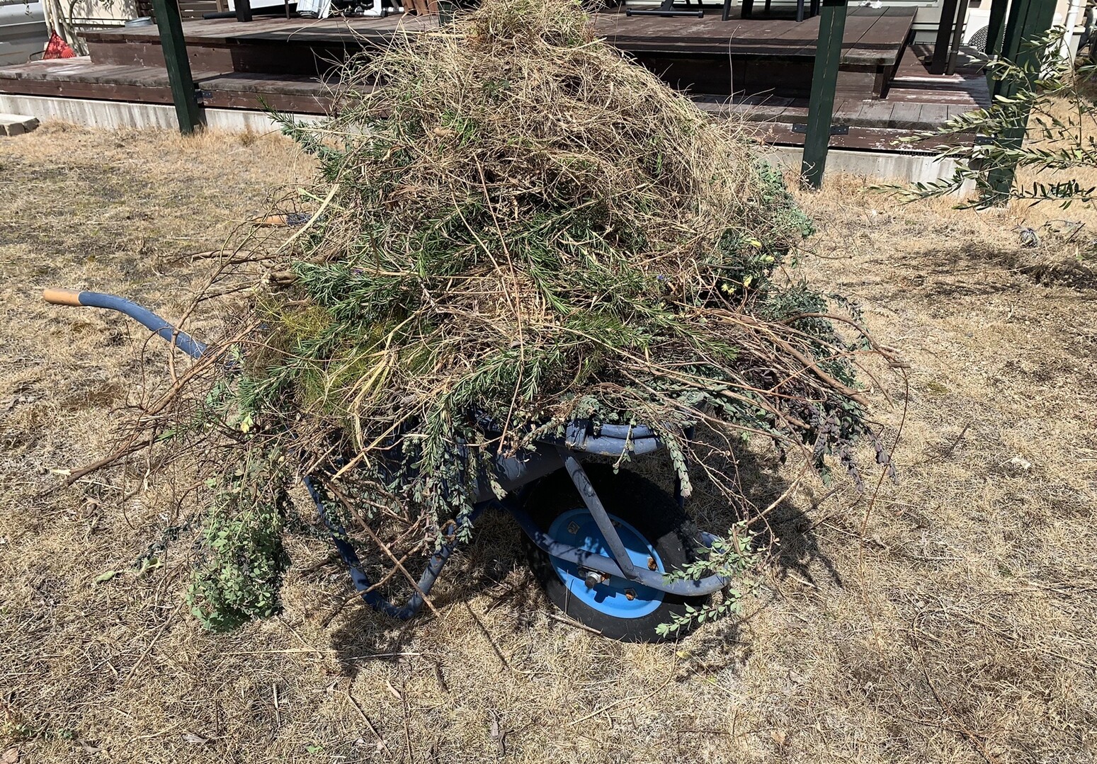 山登りをしてると暑さや疲労にも耐えられる... / kinocoさんのモーメント | YAMAP / ヤマップ