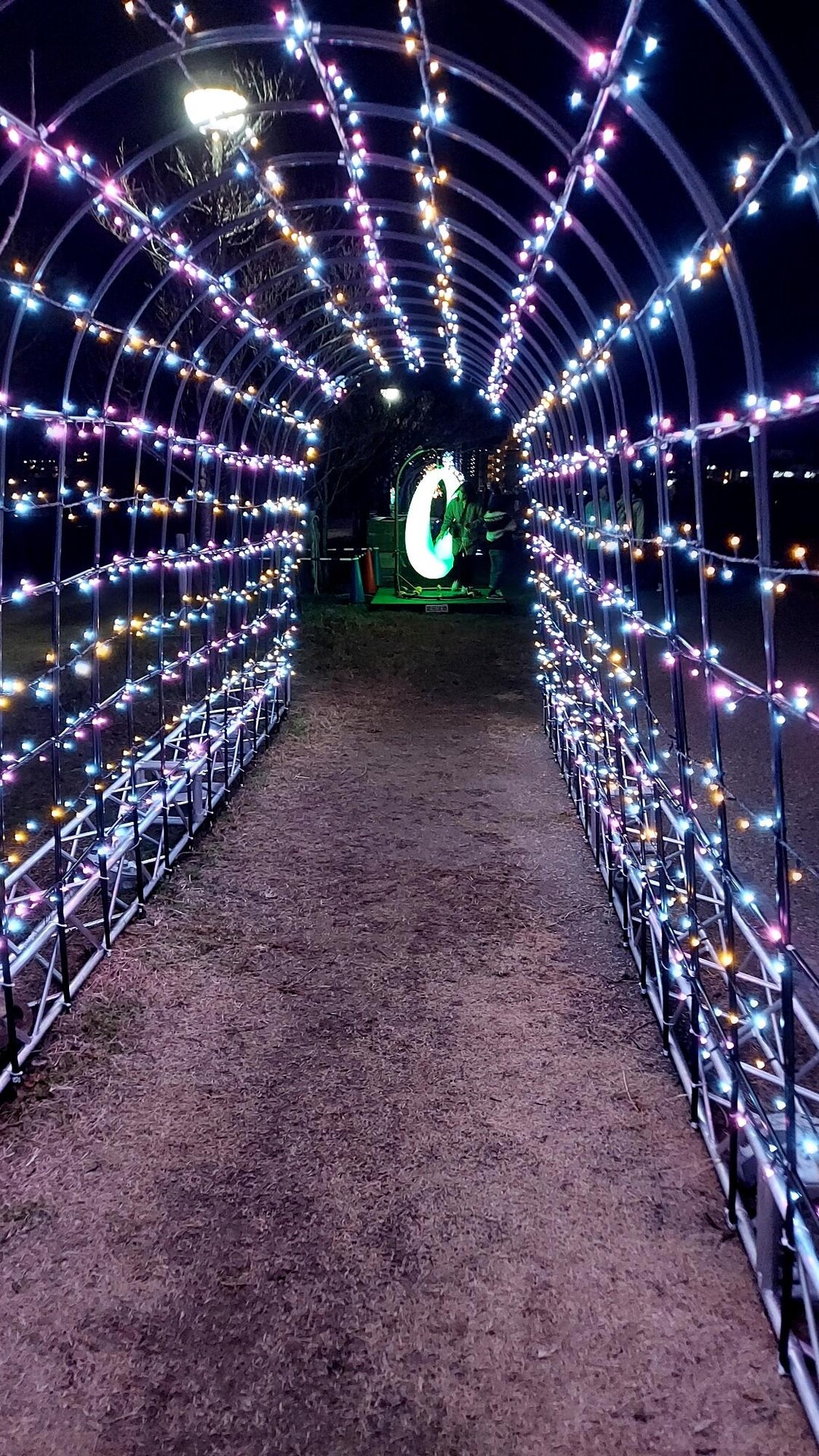 狭山池 子供たちが喜ぶちょっとイルミネー... / ゆうじさんのモーメント | YAMAP / ヤマップ