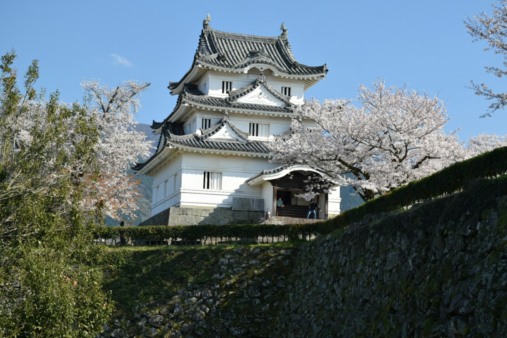 宇和島城 / nm25さんの四国遍路その13の活動データ | YAMAP / ヤマップ