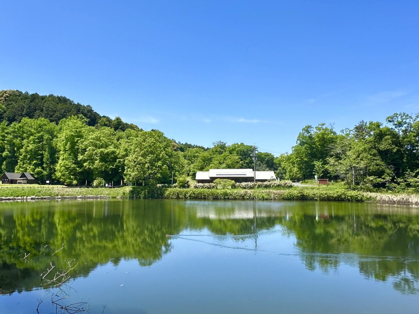 新緑🍃の木漏れ日山行☀️ 松尾山⛰️矢田山⛰️ / nataiさんの矢田丘陵・法隆寺の活動日記 | YAMAP / ヤマップ