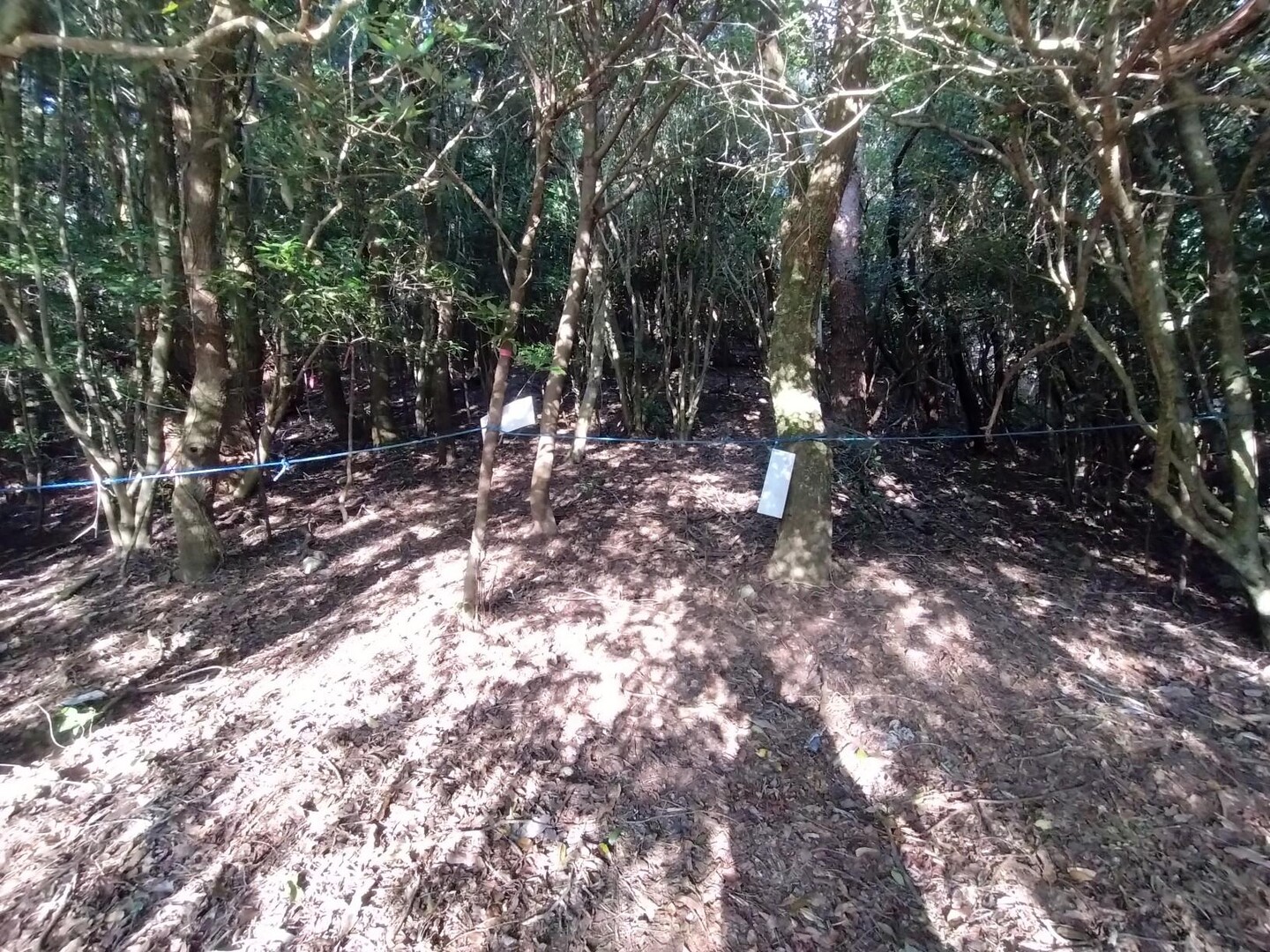 topperさんの投稿したフィールドメモ | YAMAP / ヤマップ