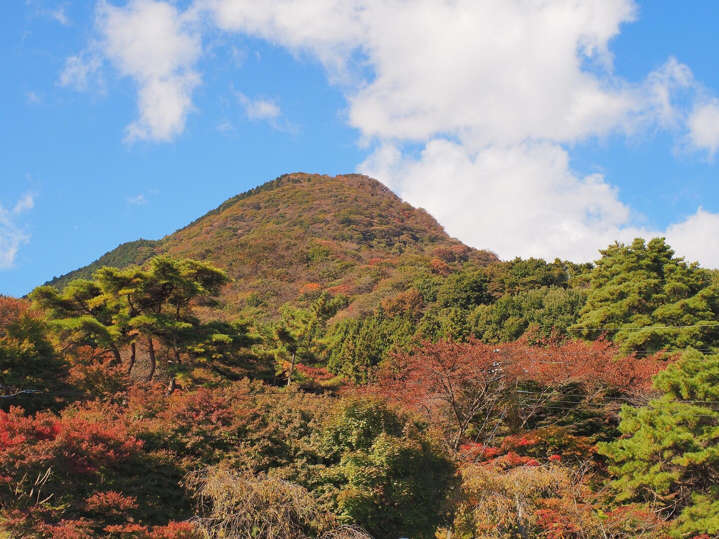 水沢山111 / Hikoさんの榛名山・天狗山・天目山の活動日記 | YAMAP / ヤマップ