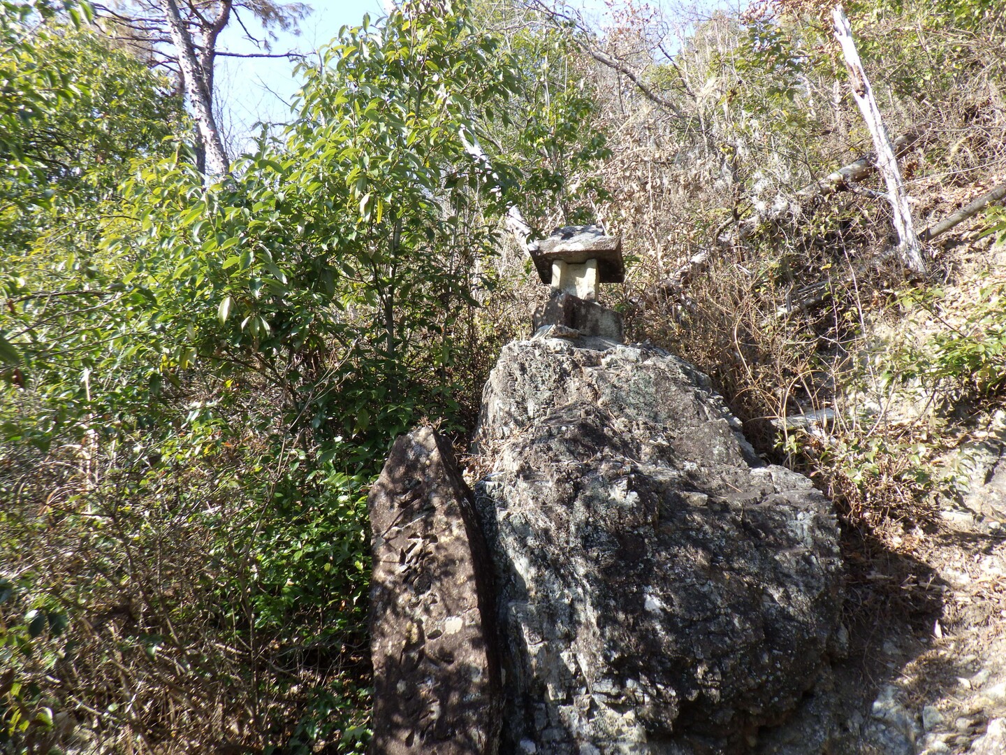 八坂山・大谷山 / takurockさんのみのかも健康の森の活動データ | YAMAP / ヤマップ