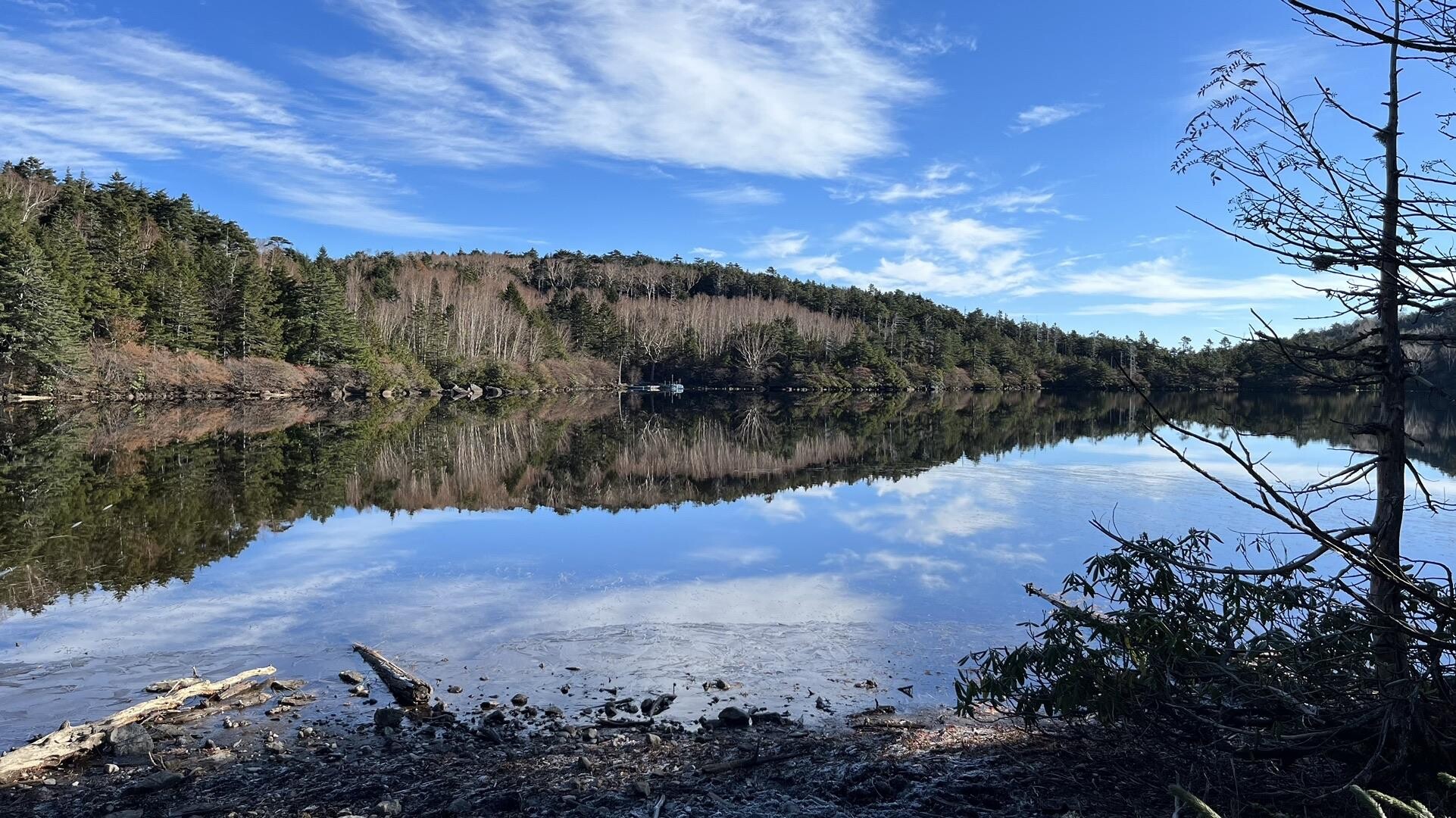 中山・ニュウ / mi-yaさんの蓼科山・横岳・縞枯山の活動データ | YAMAP / ヤマップ