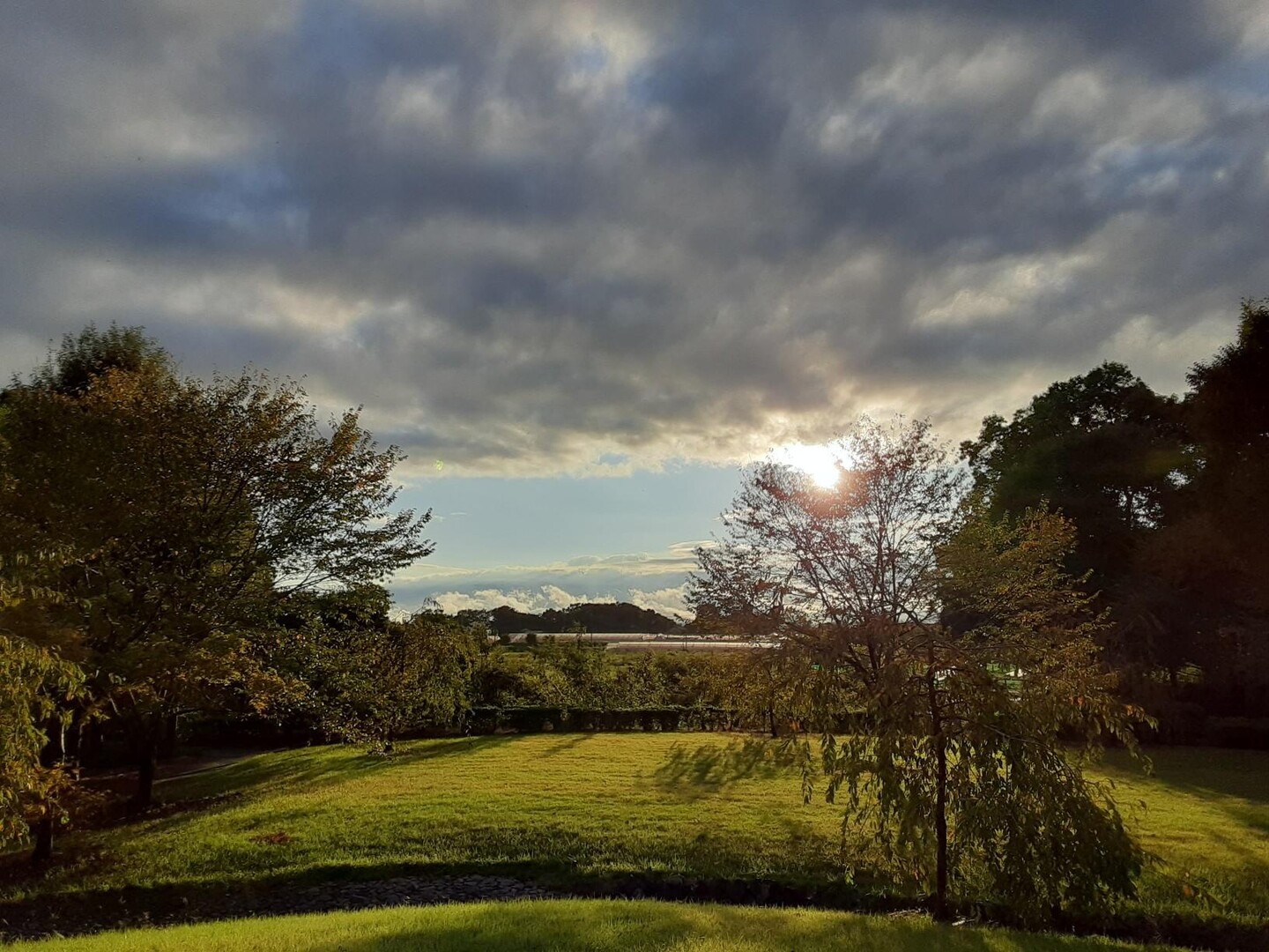 台風一過😊☀️ / mokoさんのモーメント | YAMAP / ヤマップ