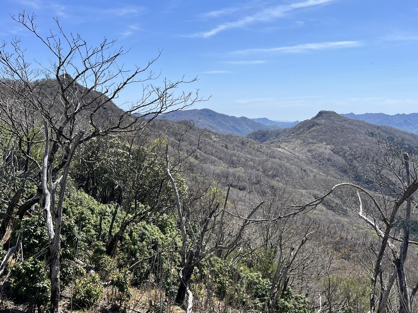 初登頂満載の一日 / kohiさんの祖母山の活動データ | YAMAP / ヤマップ
