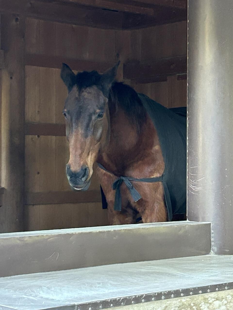 やまひれのページ | YAMAP / ヤマップ