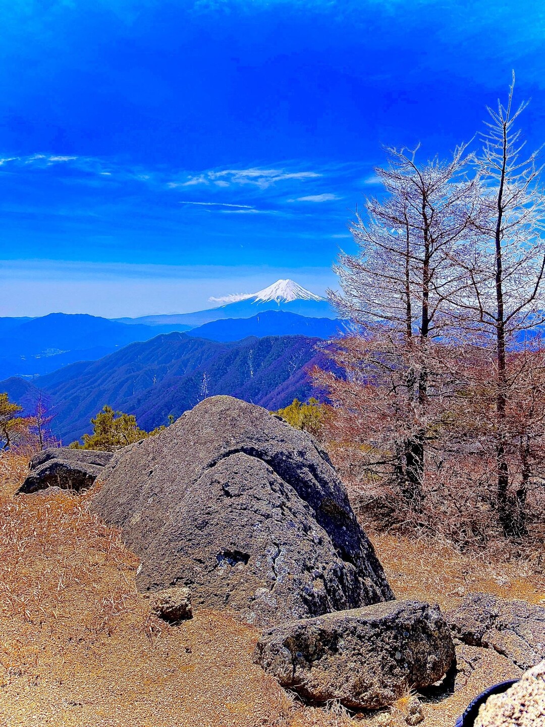 Re: 白谷ノ丸 / mimさんの滝子山・大谷ヶ丸・笹子雁ヶ腹摺山の活動データ | YAMAP / ヤマップ