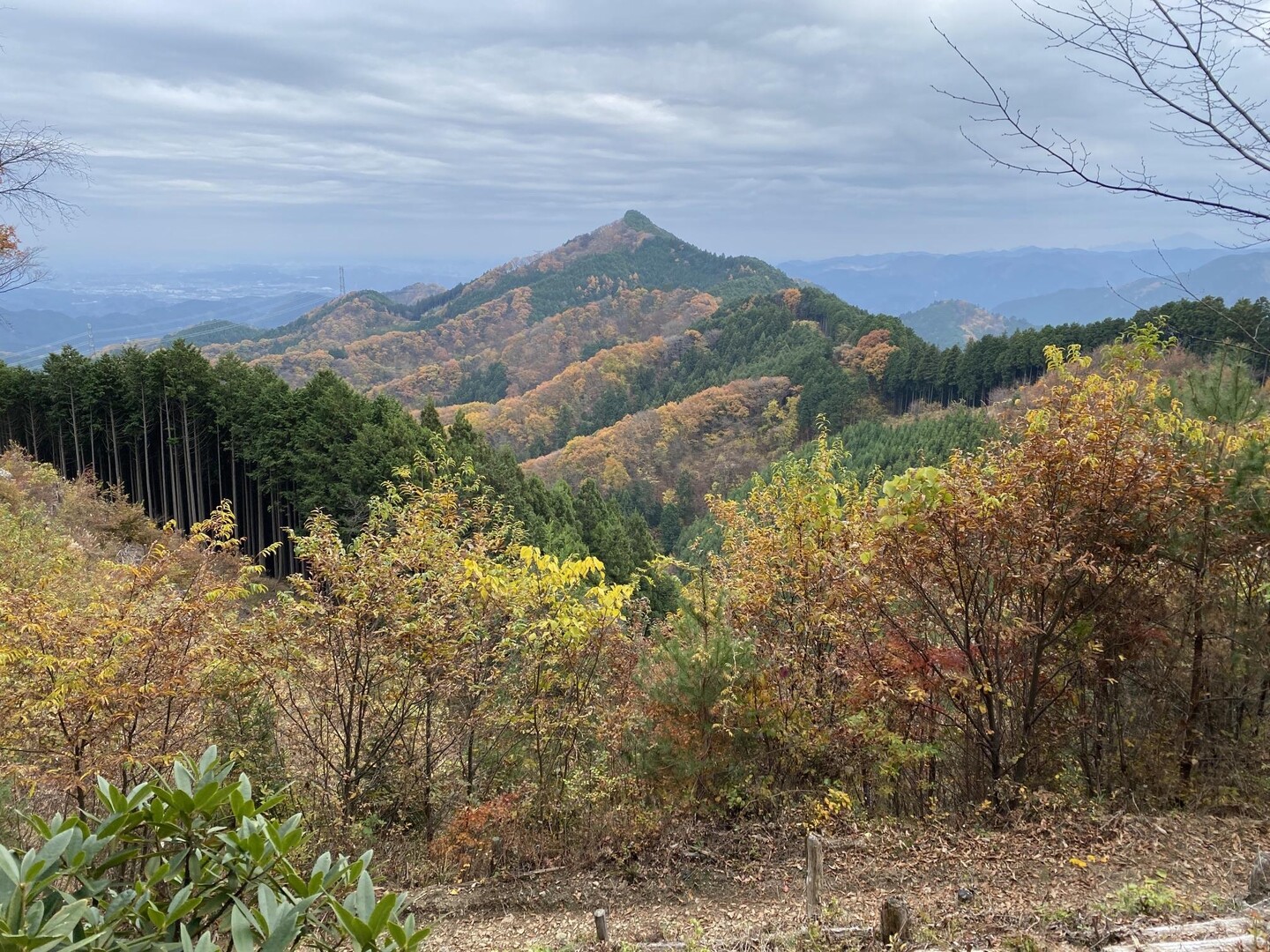 大塚山・御岳山・日の出山 / NBさんの大岳山・御岳山・御前山の活動日記 | YAMAP / ヤマップ