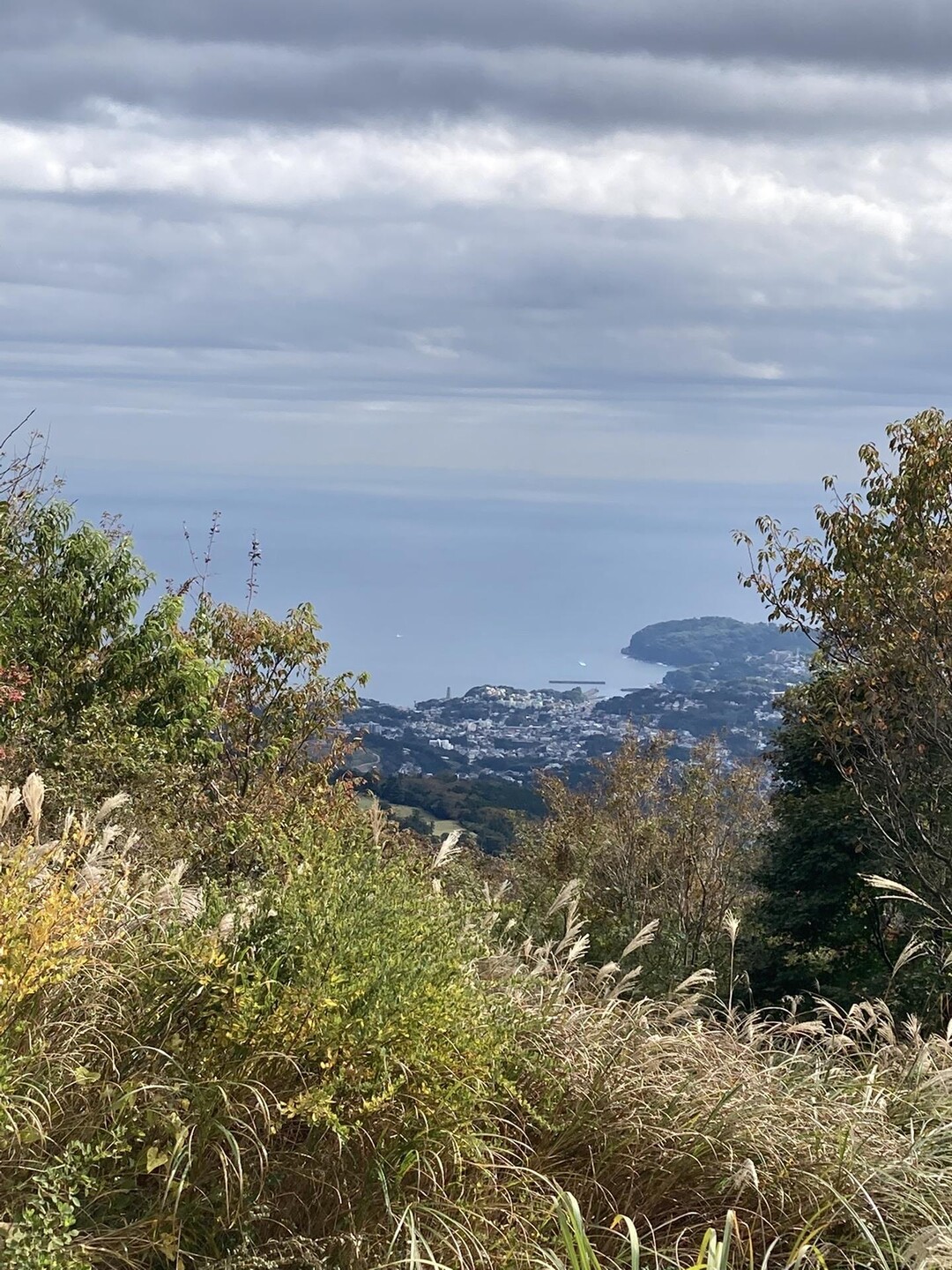 幕山 お手軽ハイキング🚶🚶 / kozyさんの幕山・南郷山の活動データ | YAMAP / ヤマップ