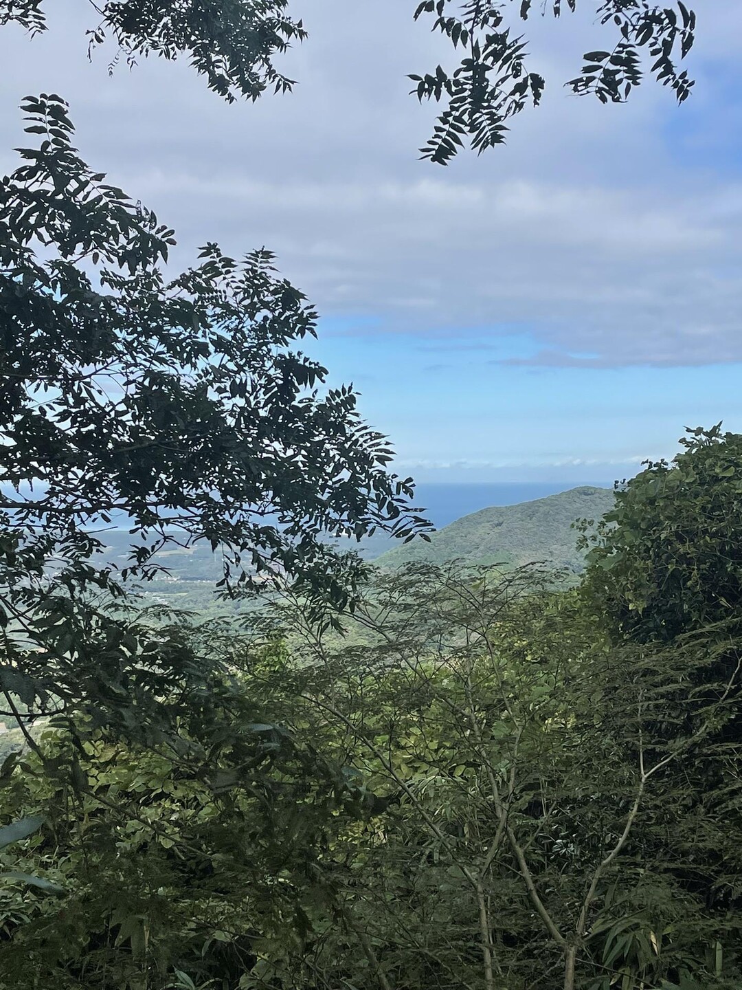 城山 / よこあさんの湯川山・城山・孔大寺山の活動日記 | YAMAP / ヤマップ