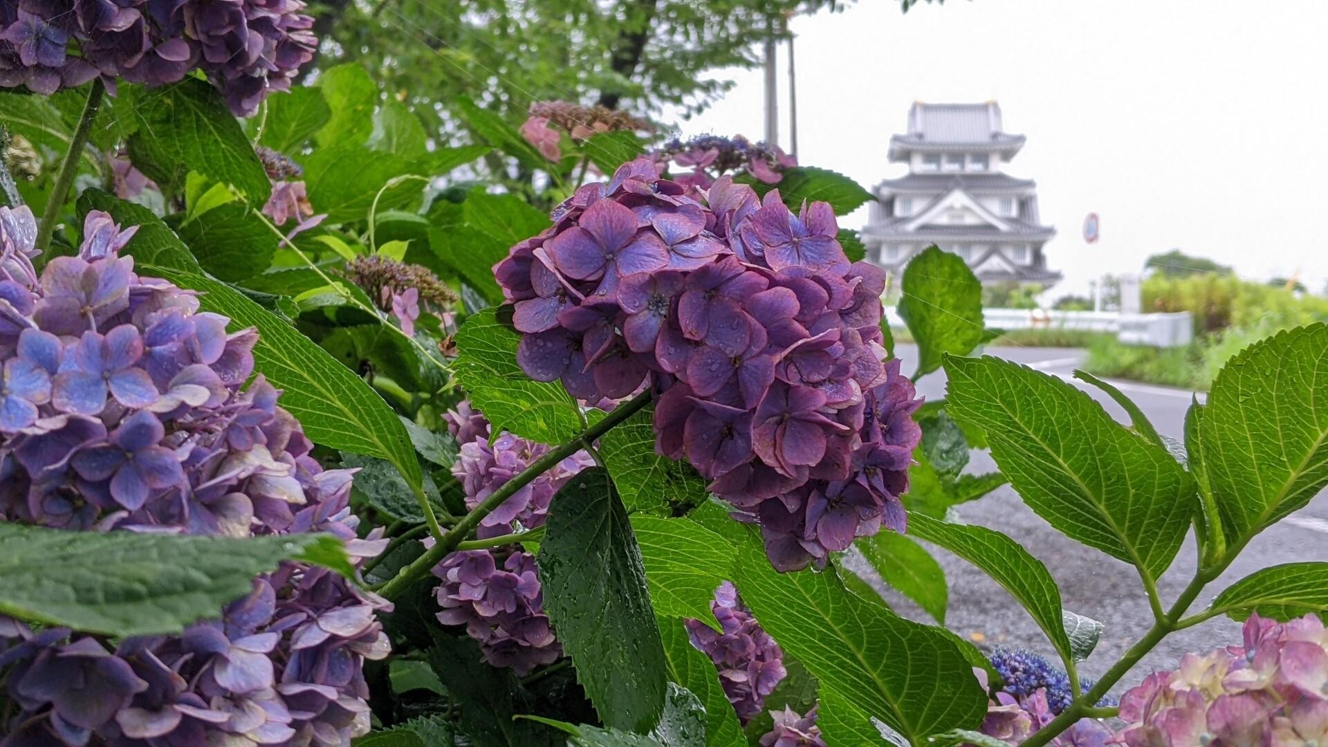 大垣市内散策JOG / teruyamaさんの大垣市の活動データ | YAMAP / ヤマップ