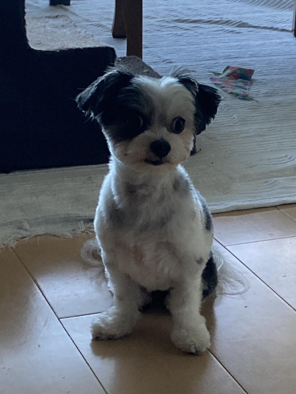 ちょびのページ | YAMAP / ヤマップ