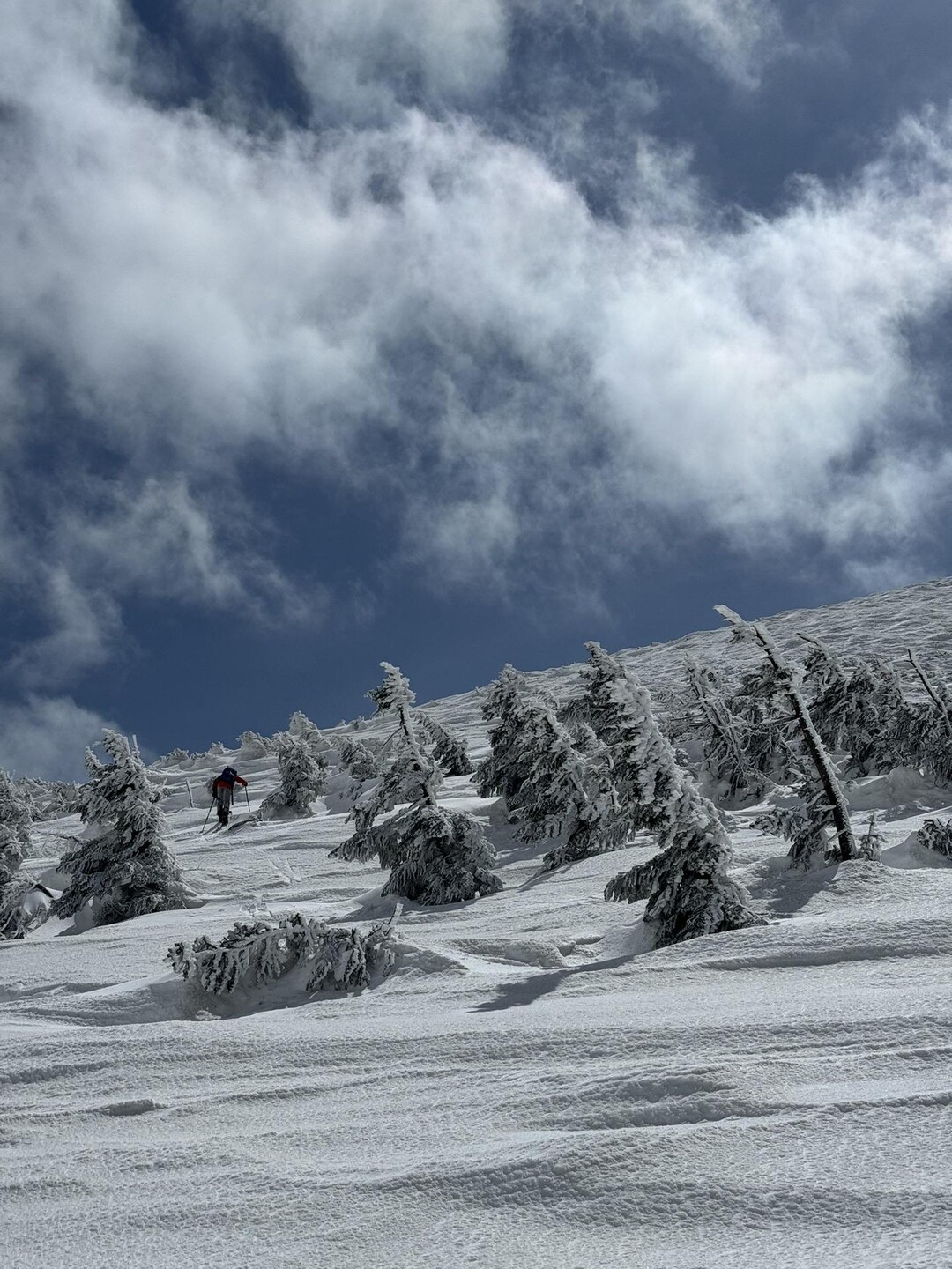 八甲田山（大岳）・硫黄岳 / makoto_mountain さんの八甲田山・高田大岳・雛岳の活動データ | YAMAP / ヤマップ