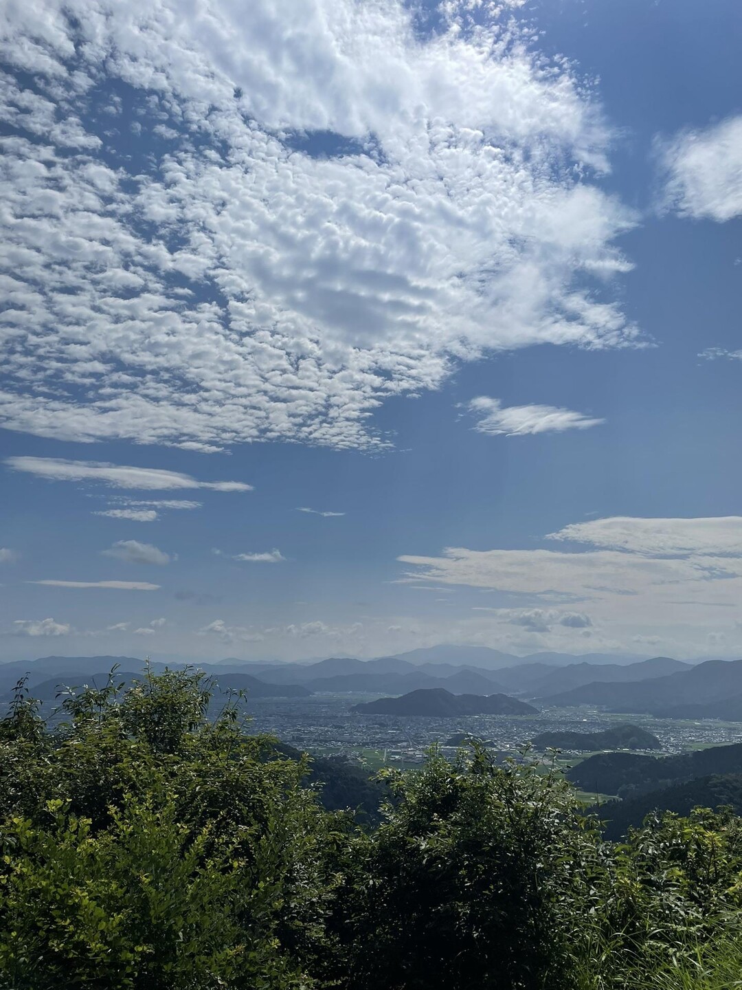 鬼ヶ岳（赤兎山通行止めからの）-20230716 / そっしーさんの鬼ヶ岳の活動データ | YAMAP / ヤマップ