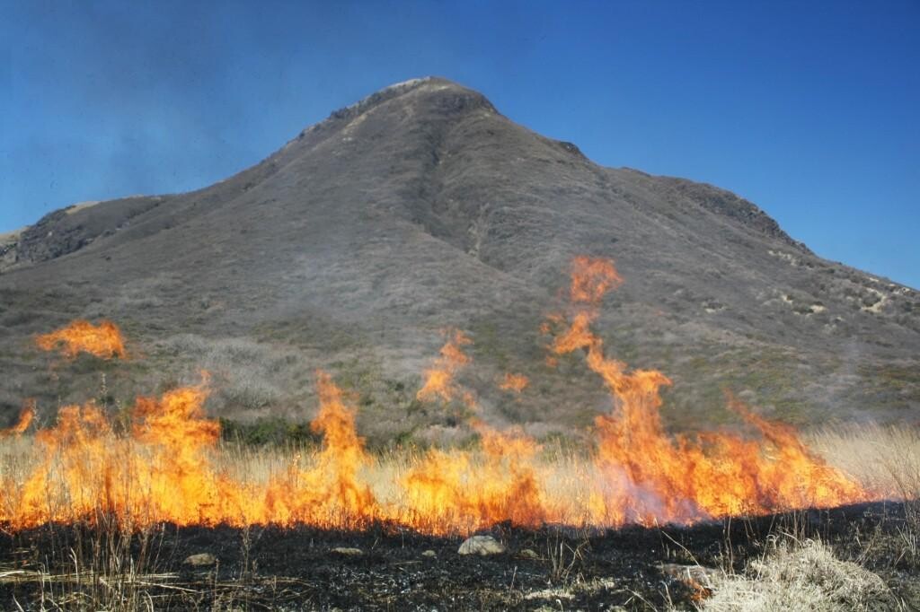 坊がつる野焼き / toshil-_-lさんの九重山（久住山）・大船山・星生山の活動データ | YAMAP / ヤマップ