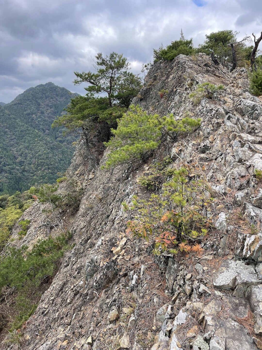 夜勤明けで七種山周回🍀 / Solaさんの七種山の活動データ | YAMAP / ヤマップ