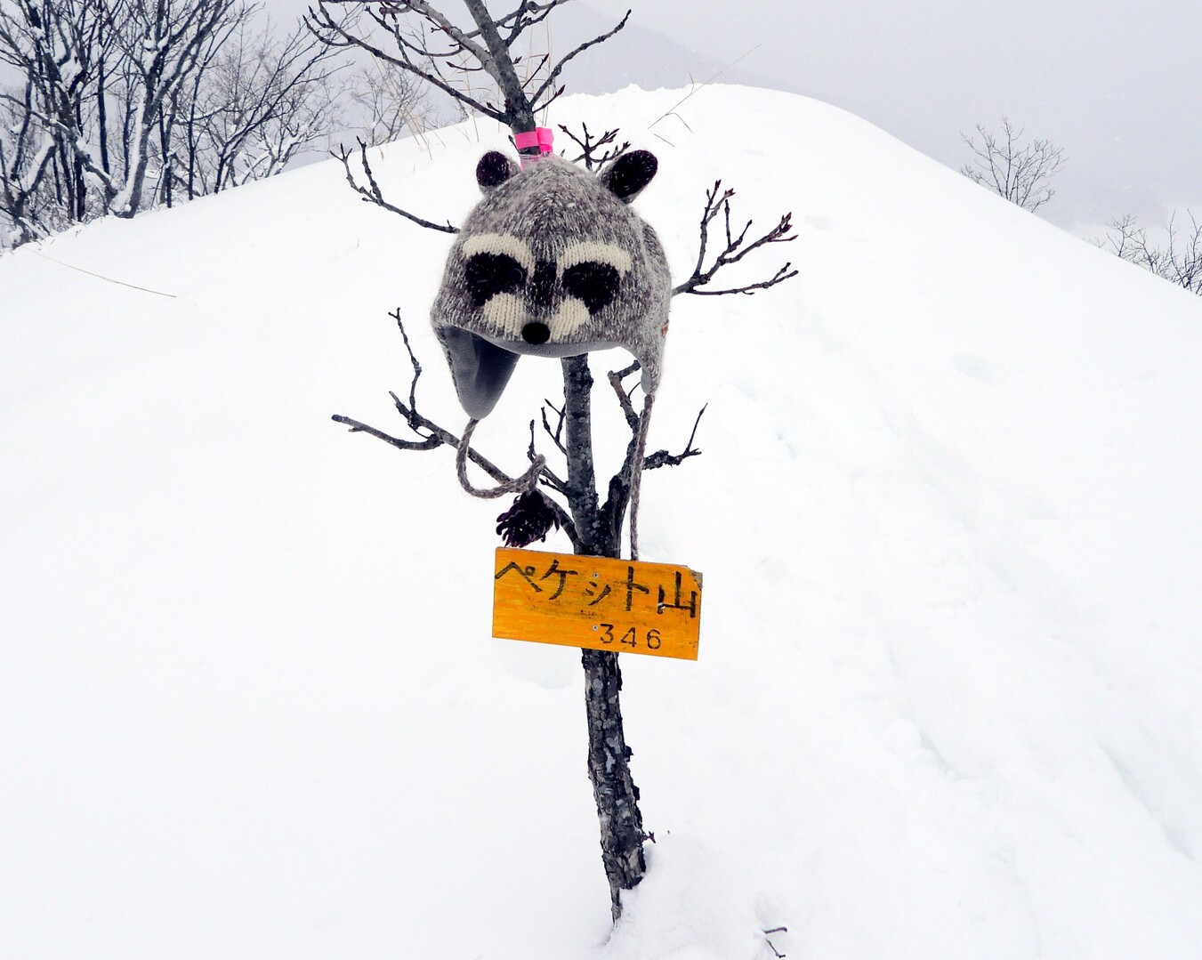 フルラッセルでペケット山(長い話シリーズ⑦) / pon(夫) ＆ 連れ(妻)さんの丸山・三面山・シラッケ山の活動データ | YAMAP / ヤマップ