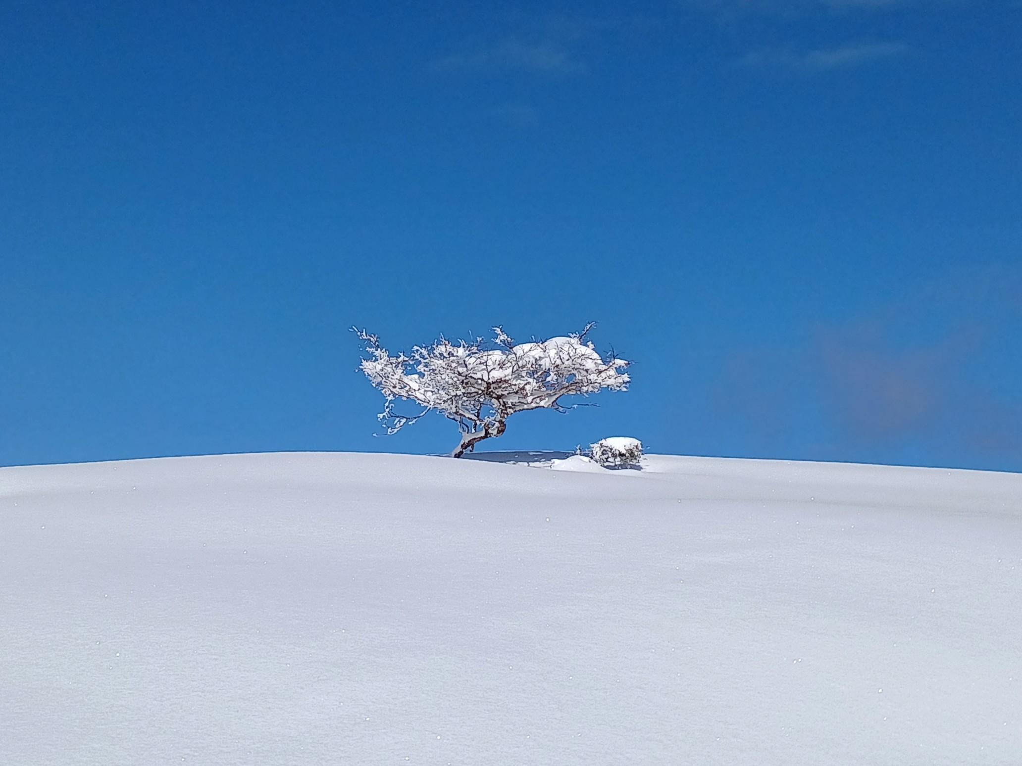 大江山(千丈ヶ嶽)・鳩ヶ峰・鍋塚 / simodaさんの大江山連峰トレイルの活動データ | YAMAP / ヤマップ