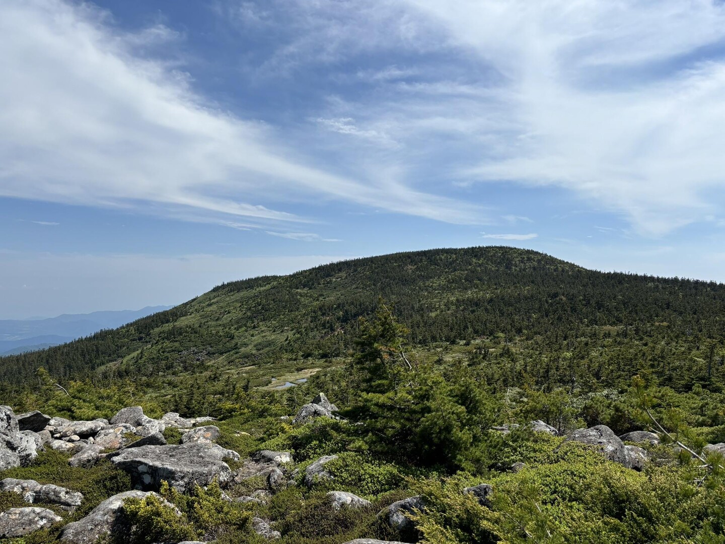 6/15 西吾妻山 / MSさんの吾妻山・一切経山の活動データ | YAMAP / ヤマップ