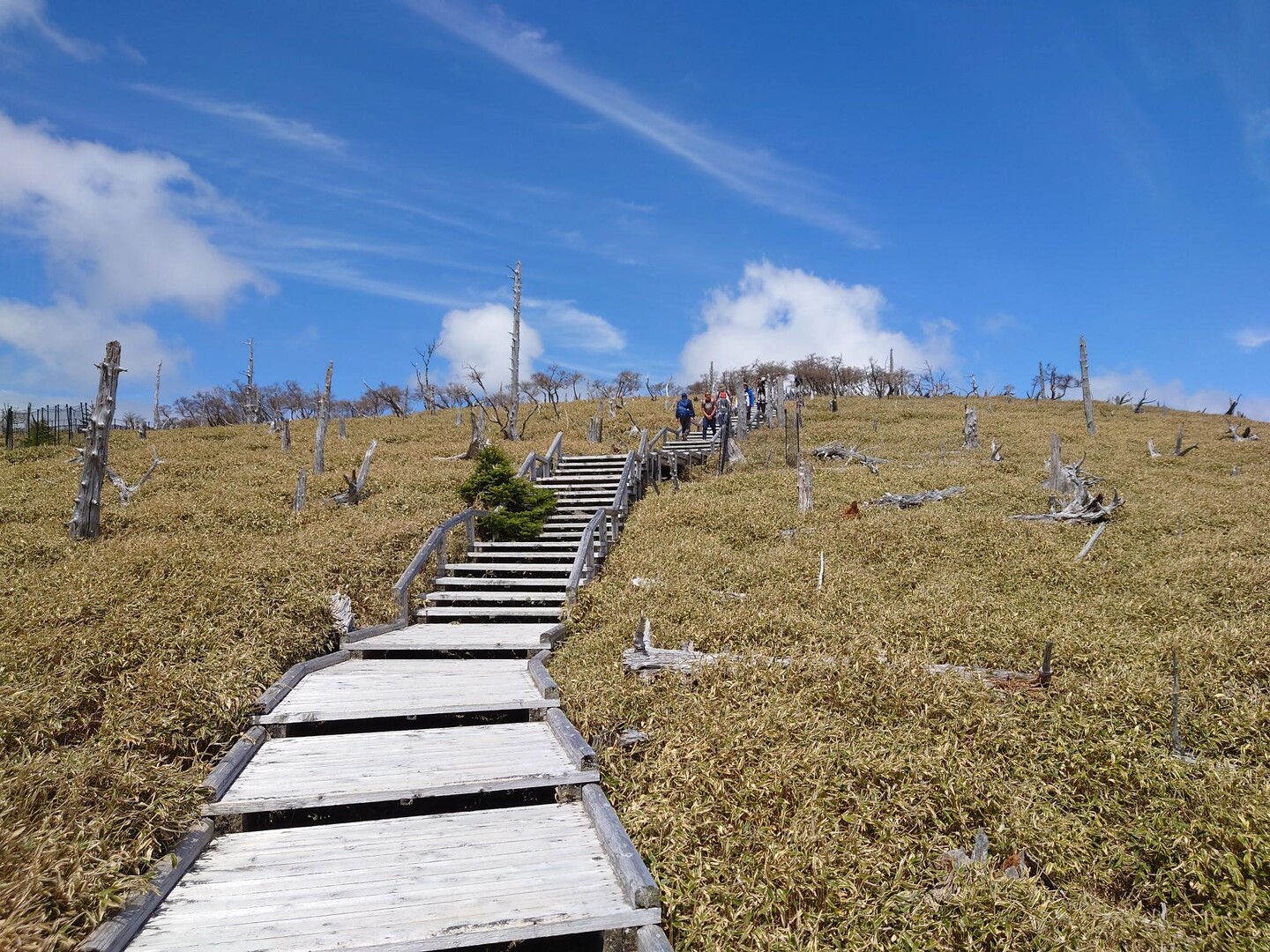 大台ヶ原 / Rockyさんの大台ヶ原山・日出ヶ岳・大杉谷の活動データ | YAMAP / ヤマップ