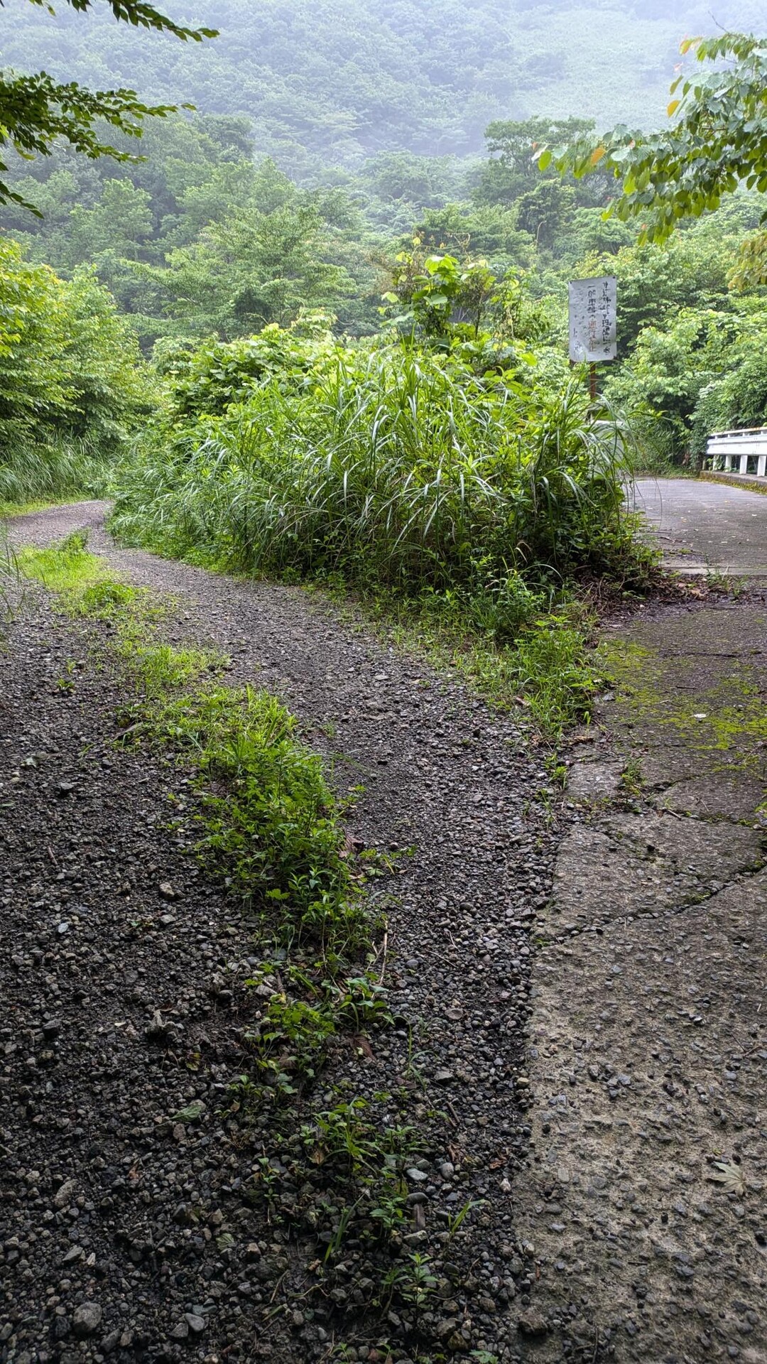 Hectorさんの投稿したフィールドメモ | YAMAP / ヤマップ