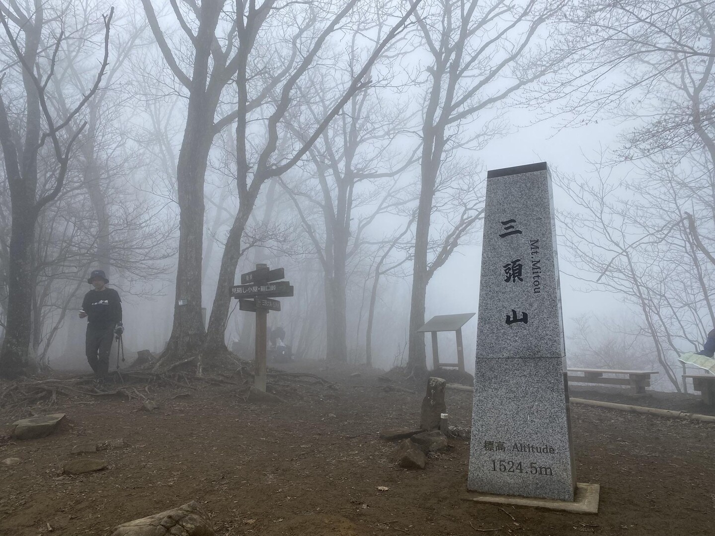 霧中の三頭山（笹尾根①） / Hase100さんの三頭山・槇寄山・土俵岳の活動データ | YAMAP / ヤマップ