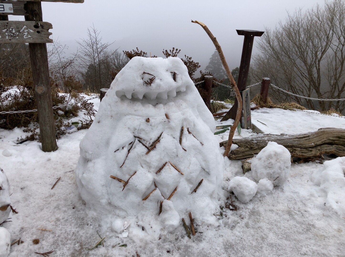 ジャイさんと金剛山 / けんけんさんの金剛山・二上山・大和葛城山の活動データ | YAMAP / ヤマップ
