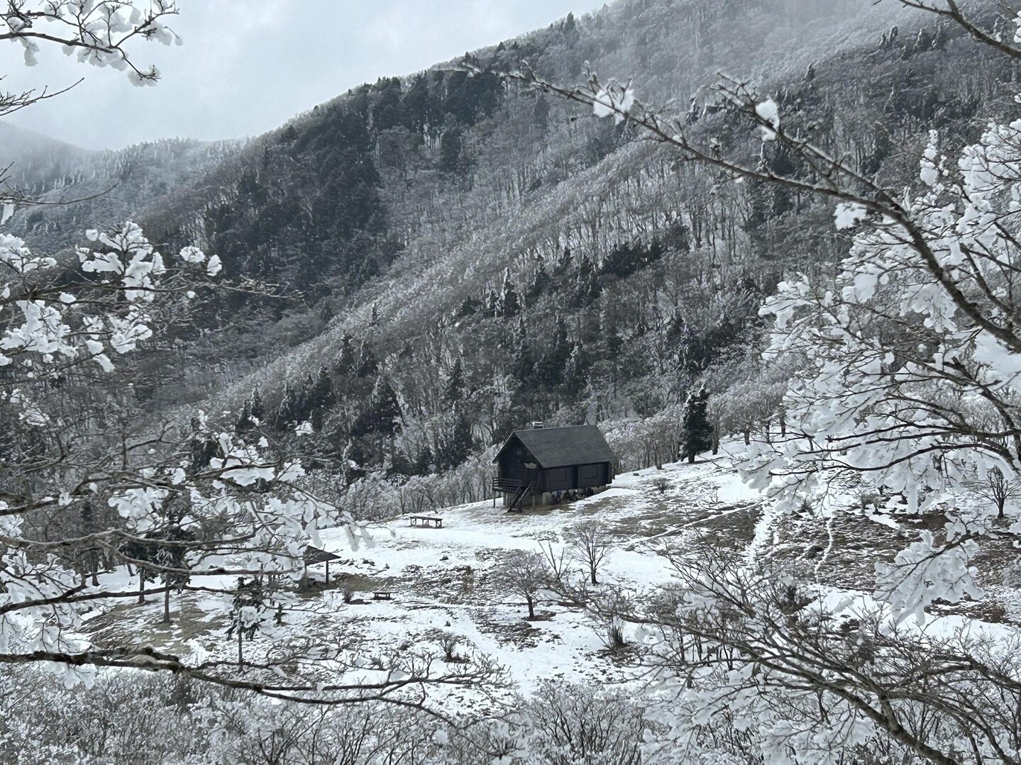 明神岳 / aiueo123さんの桧塚奥峰・明神岳・薊岳の活動データ | YAMAP / ヤマップ