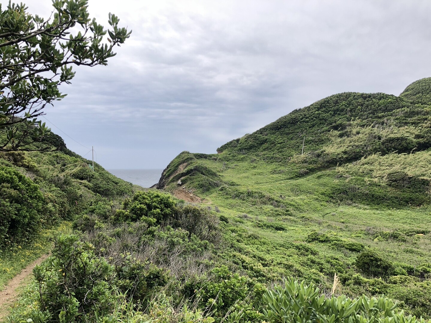 紀伊宮崎ノ鼻灯台・矢櫃 / Toru 1968さんのハイキングの活動データ | YAMAP / ヤマップ