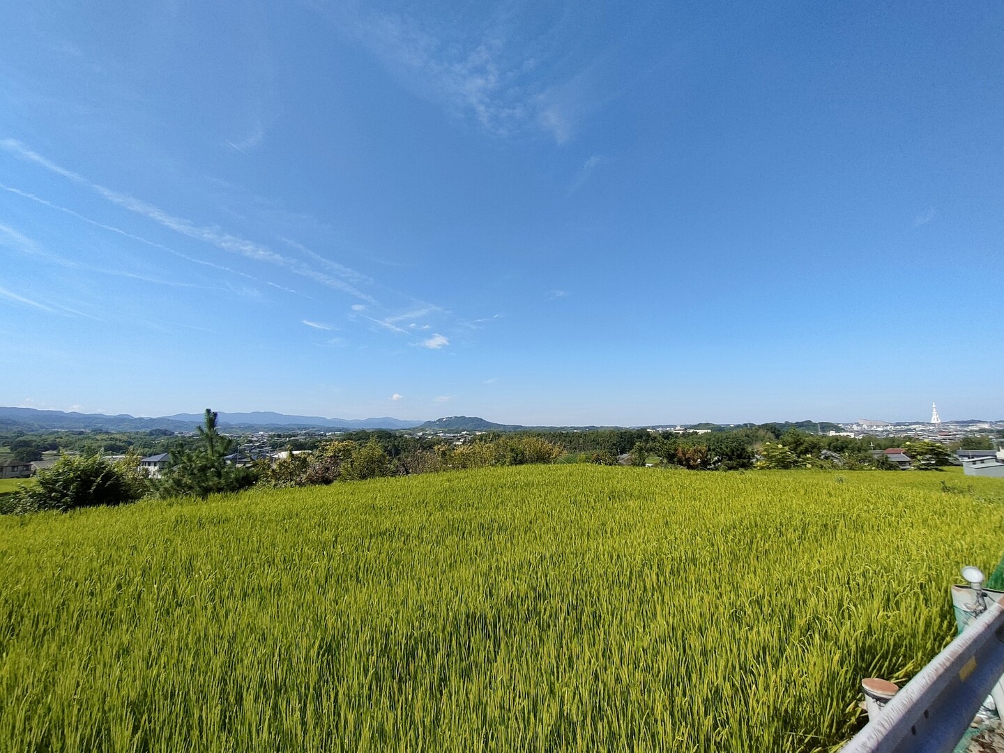 岩橋山横断 修行や！ / komaJさんの葛城修験エリアマップ（二上山周辺）の活動データ | YAMAP / ヤマップ