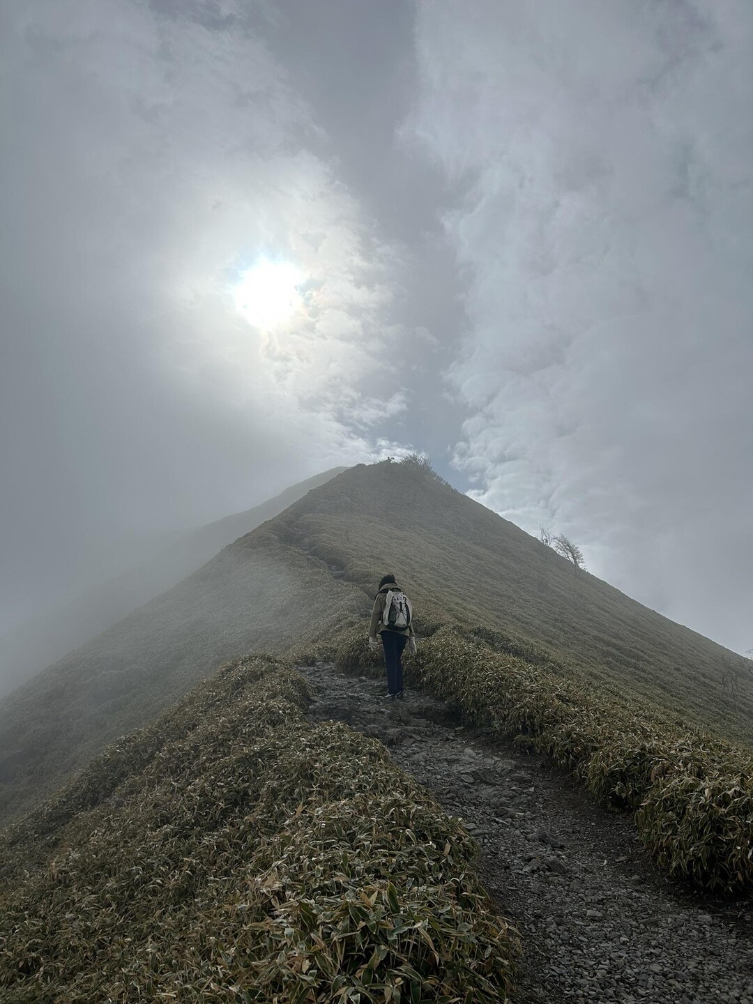 剣山・次郎笈 / Team AQAさんの剣山の活動データ | YAMAP / ヤマップ