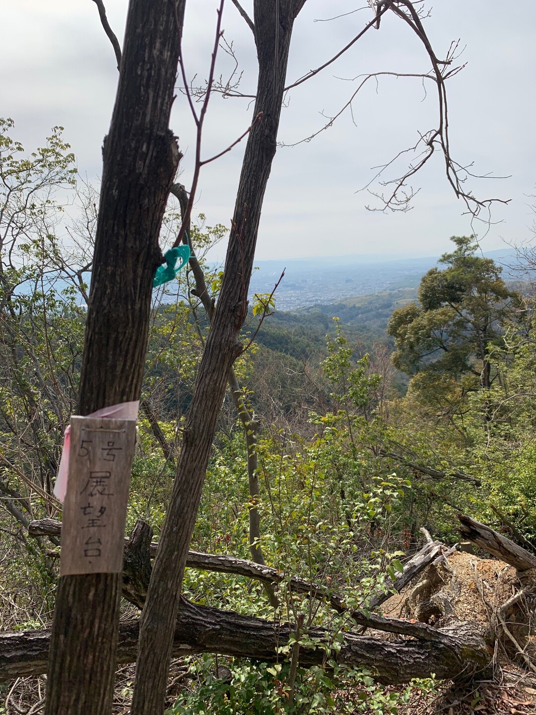 Andytakaさんの投稿したフィールドメモ | YAMAP / ヤマップ