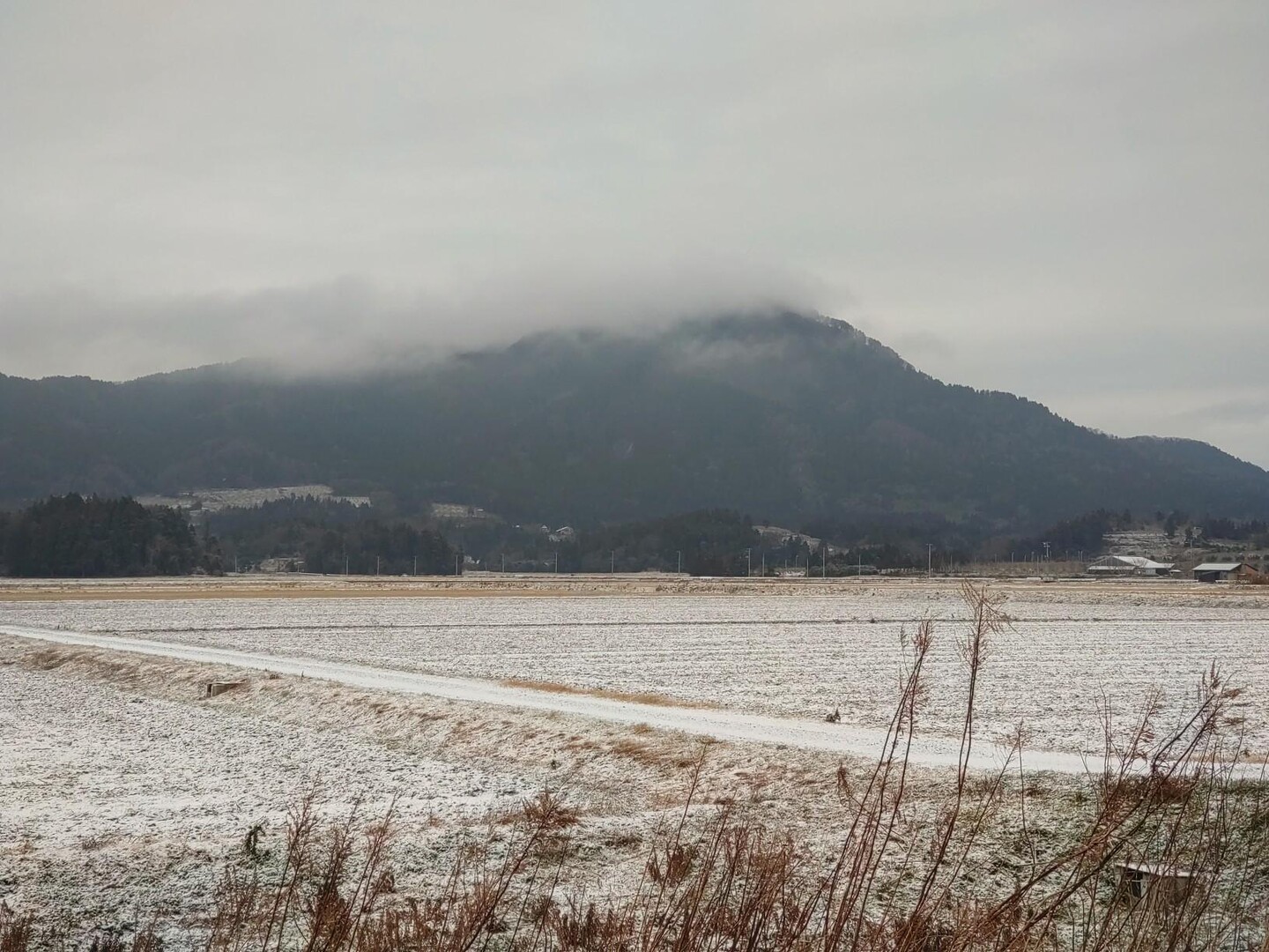 角田山4-4 / P-kanさんの角田山の活動日記 | YAMAP / ヤマップ