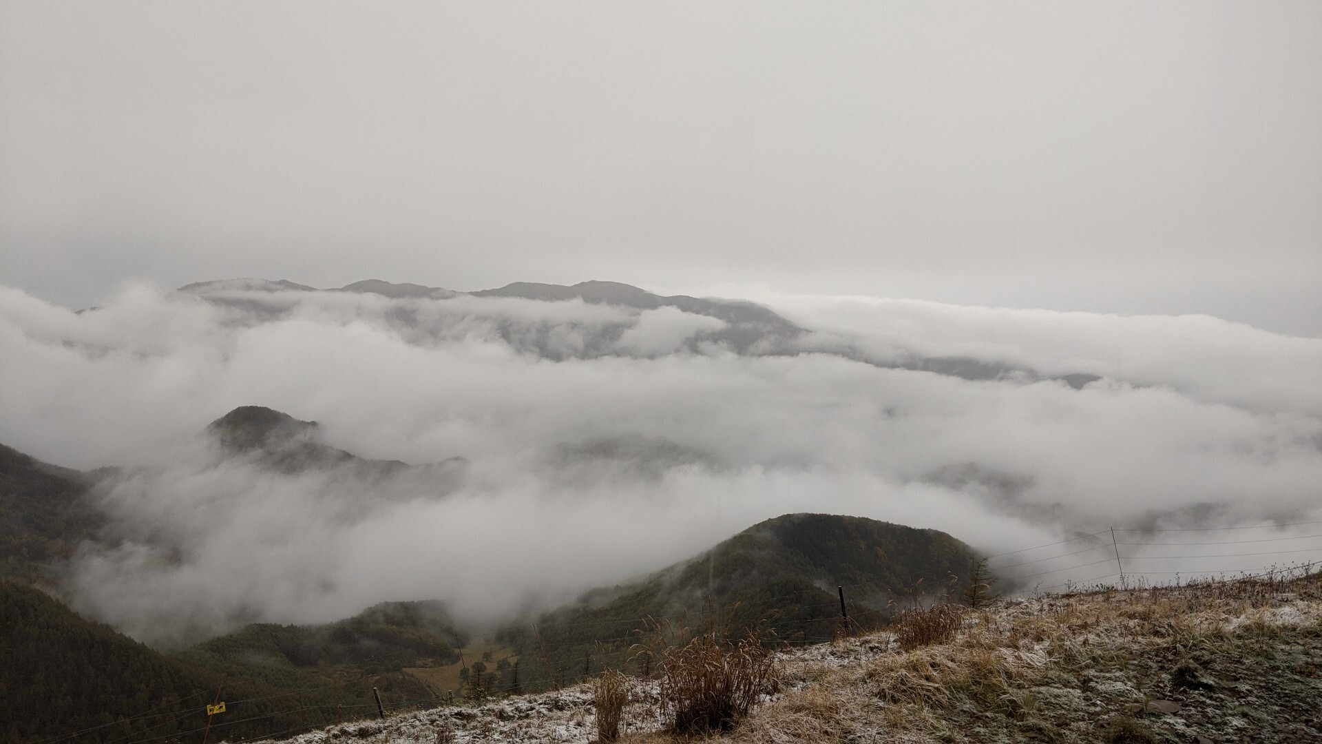 王ケ頭の初冠雪に出会えました👍。 / mayuさんのモーメント | YAMAP / ヤマップ