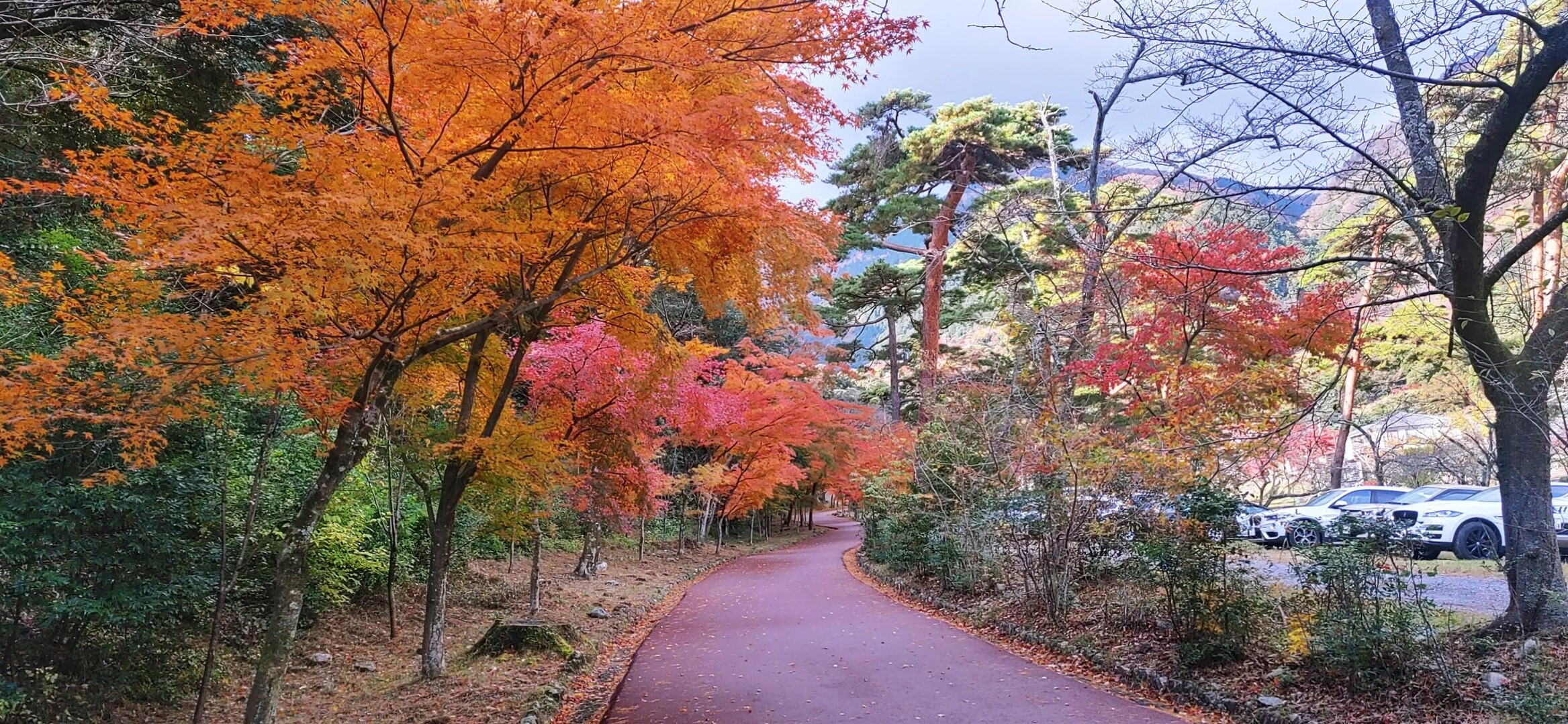三方山・小倉山・養老山 / 168さんの養老山・笙ヶ岳・三方山の活動データ | YAMAP / ヤマップ