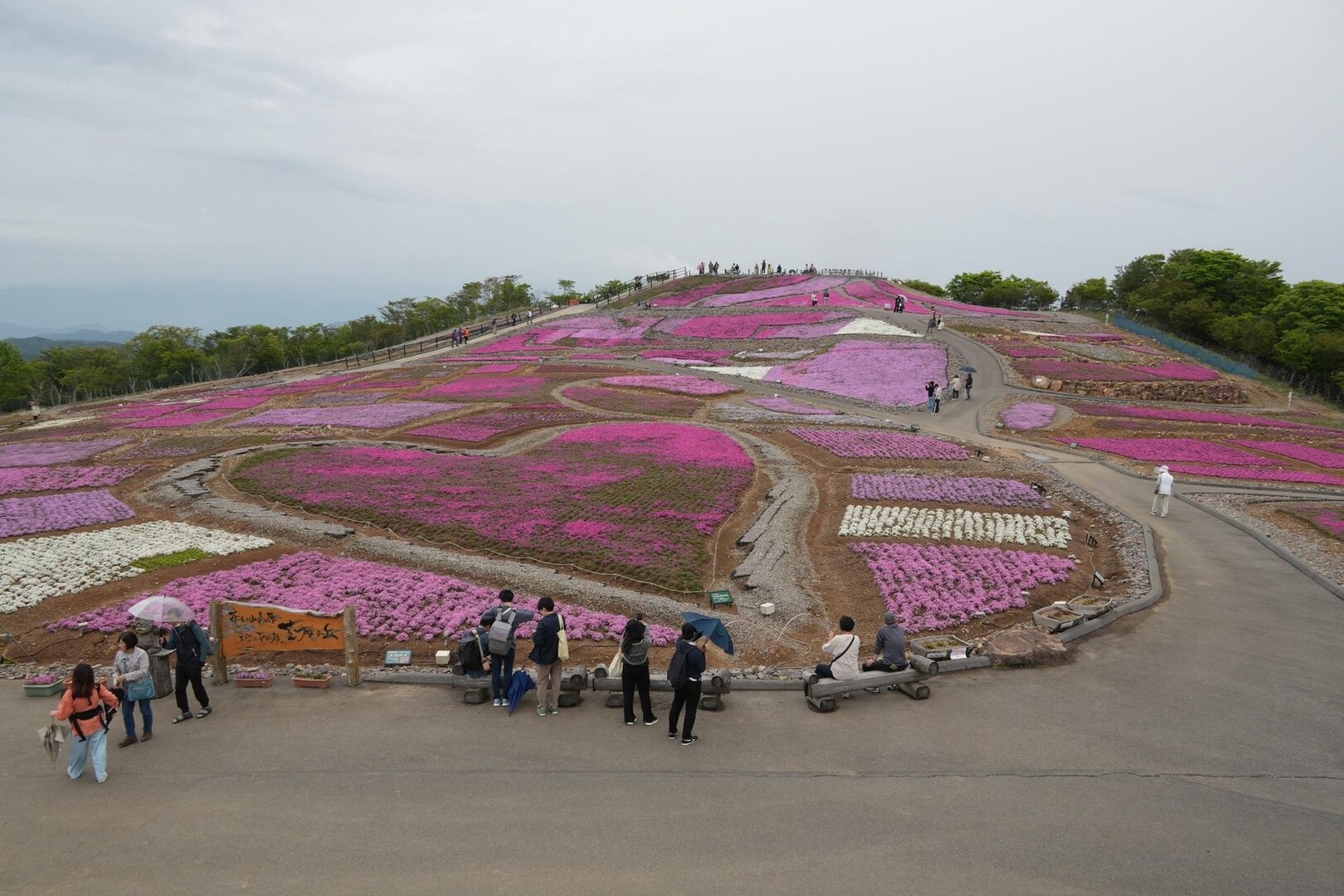 茶臼山・萩太郎山（芝桜） / たまに旅ch（K）さんの茶臼山・萩太郎山の活動日記 | YAMAP / ヤマップ