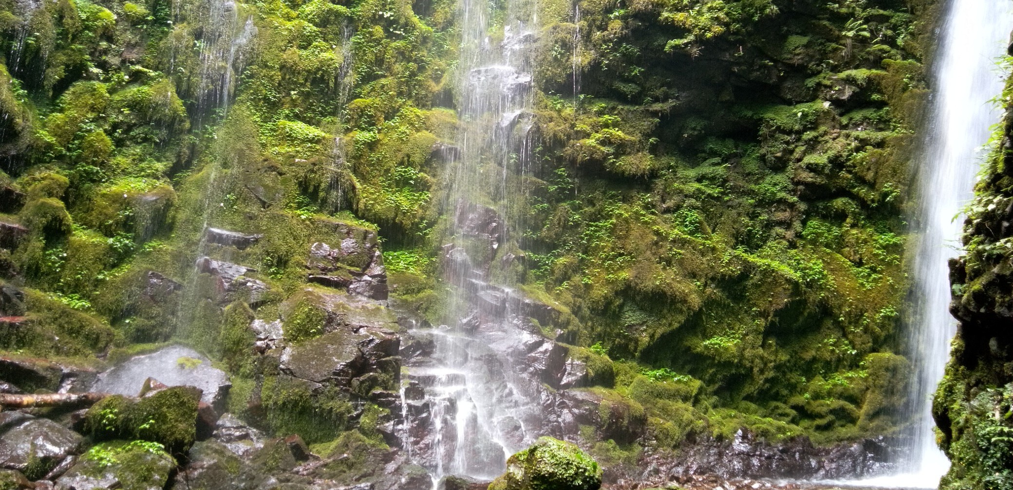乙原滝・乙原山 / てるてる坊主さんの別府市の活動データ | YAMAP / ヤマップ