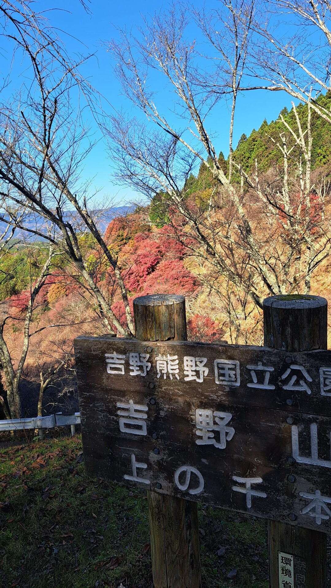 高城山 / arrow.rさんの吉野山・青根ヶ峰・百貝岳の活動データ | YAMAP / ヤマップ