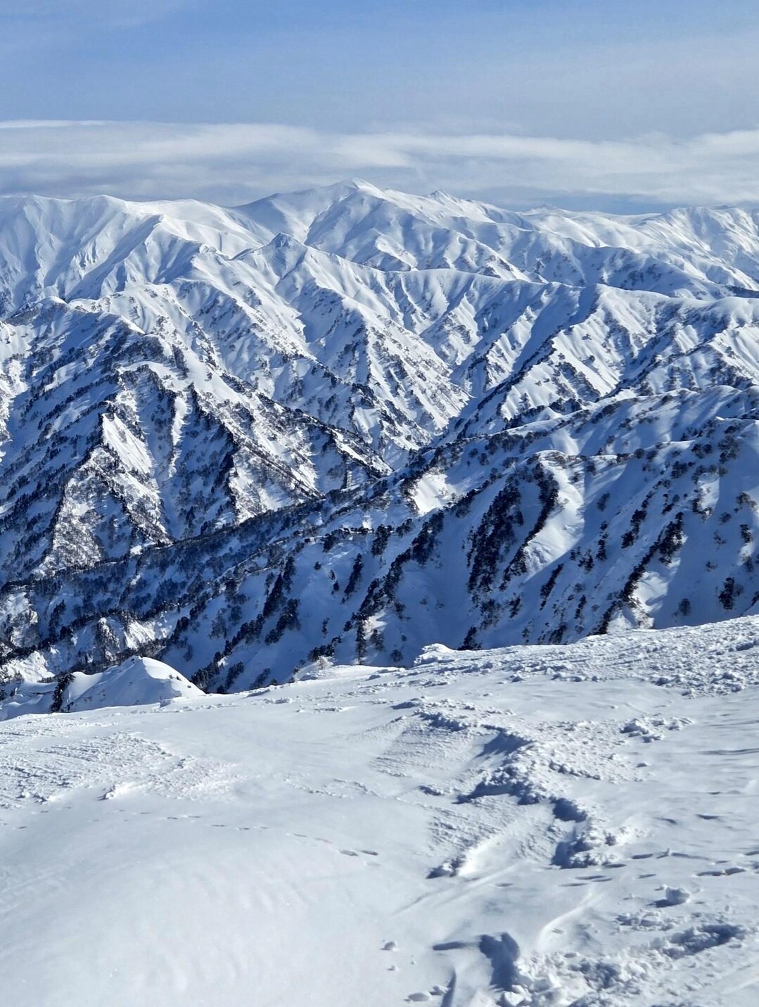 二王子岳🌞再戦ですね🫡 / MMさんの二王子岳の活動データ | YAMAP / ヤマップ