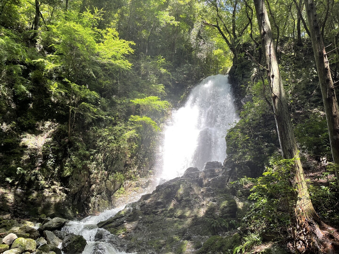 粟ヶ岳・高塚山・岳山 / nk-poohさんの粟ヶ岳の活動データ | YAMAP / ヤマップ