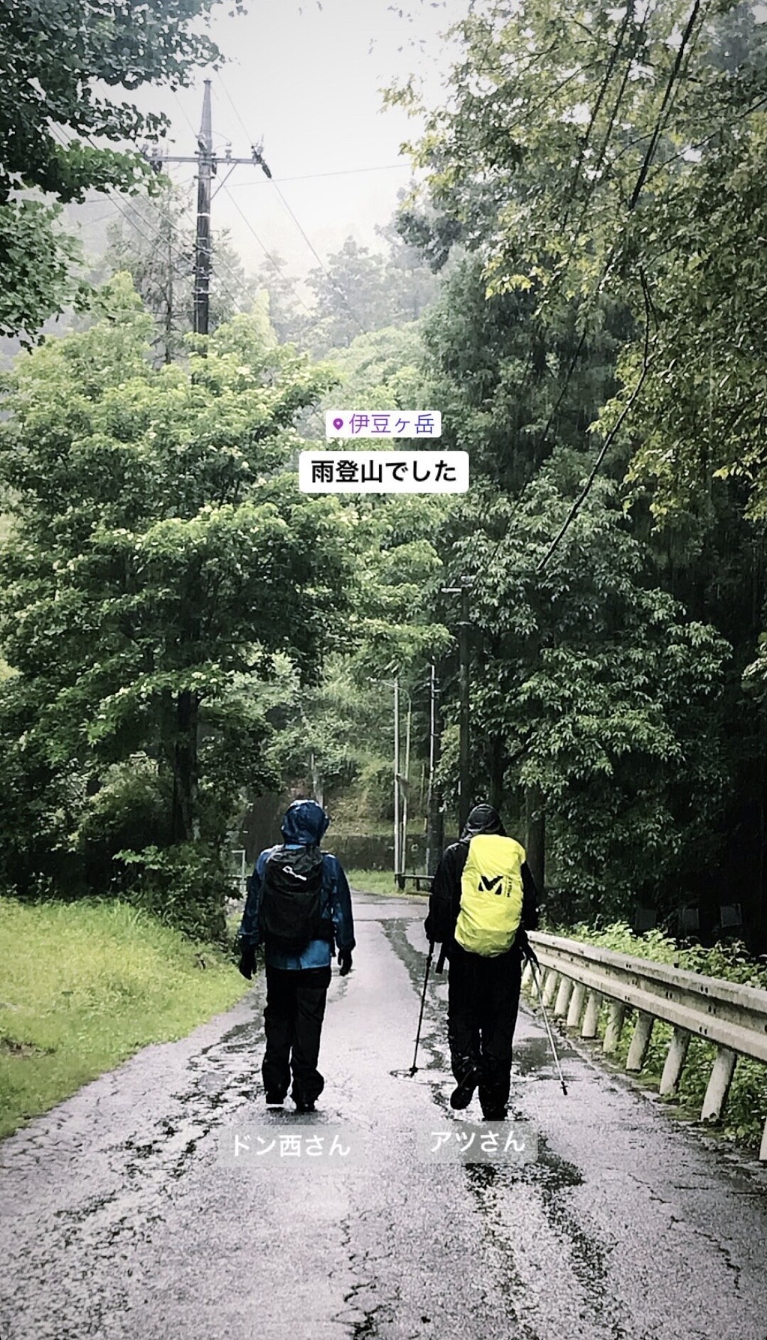 過去分 2019.06.22 伊豆ヶ岳 ... / Yoshimi🌳さんのモーメント | YAMAP / ヤマップ