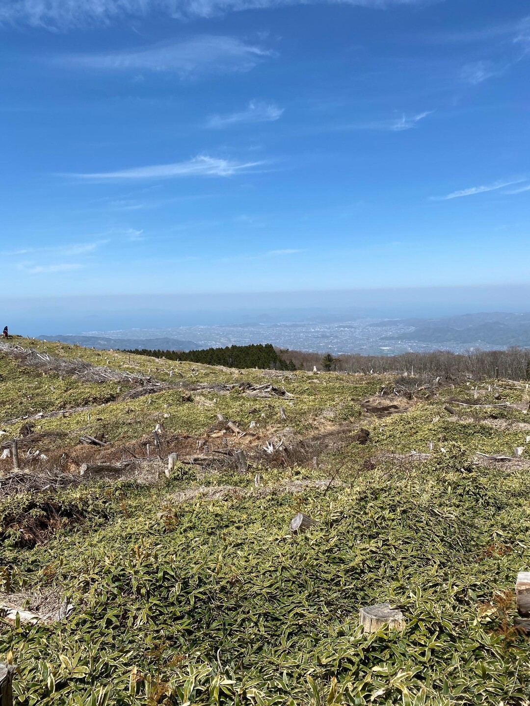 皿ヶ嶺 / ko_h5kwさんの皿ヶ嶺・梅ヶ谷山・うなめごの活動データ | YAMAP / ヤマップ