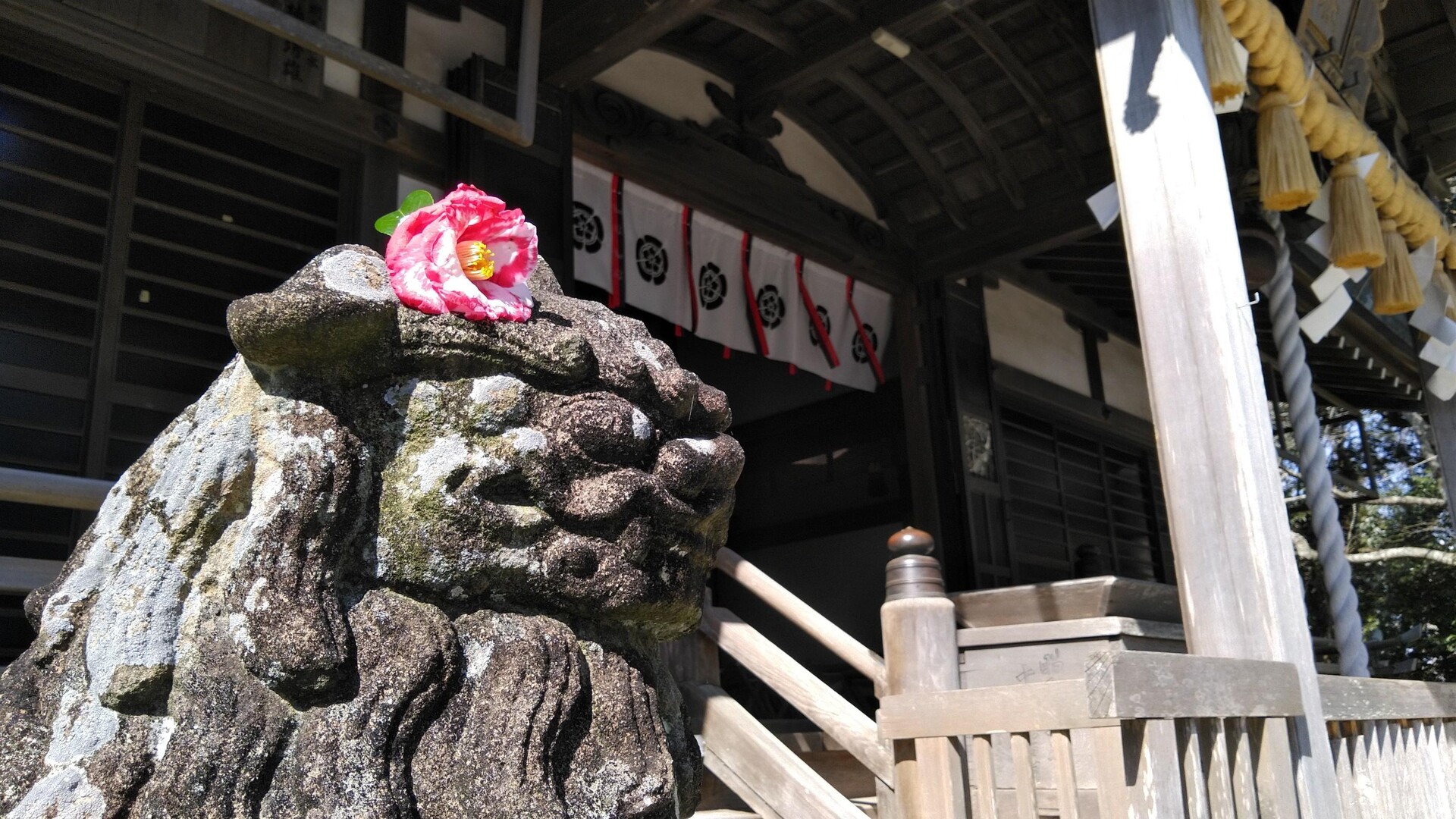 リハビリ山🗻⑭雌岡山～梅林終い梅花🌸 / 赤い車P2さんの雄岡山・雌岡山の活動データ | YAMAP / ヤマップ