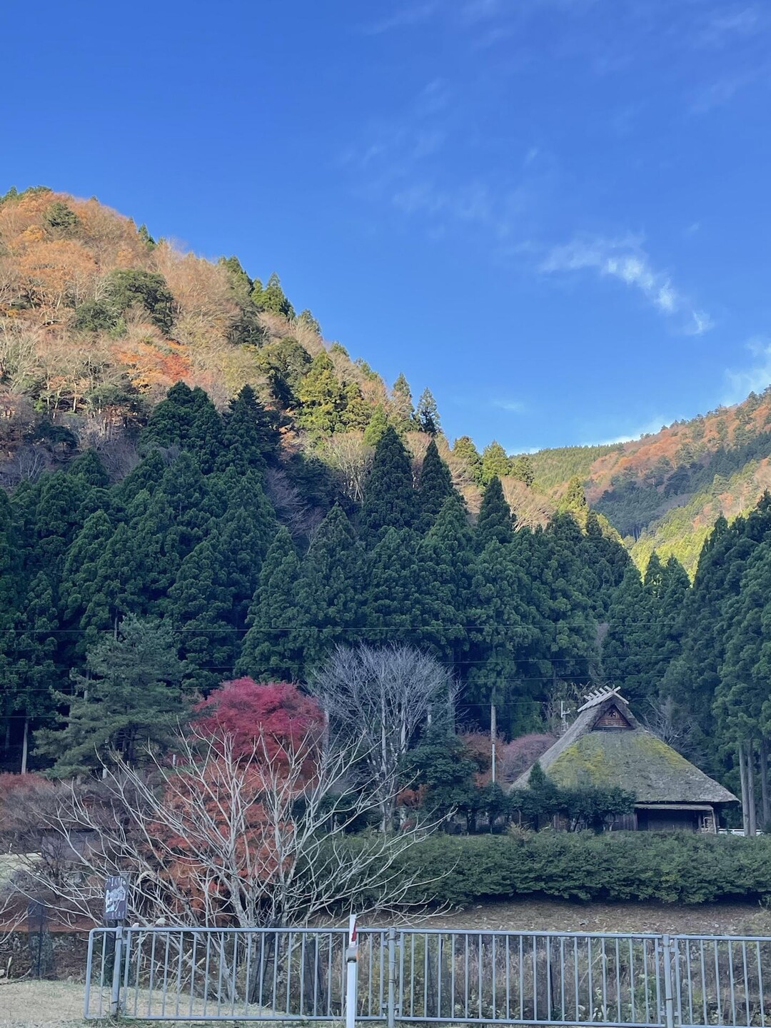 御殿山・武奈ヶ岳・コヤマノ岳 / nobさんの比良山地・武奈ヶ岳・釈迦岳の活動データ | YAMAP / ヤマップ
