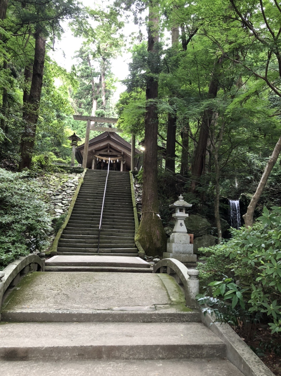 神路山・遠見岳 / みちさんの遠見岳・城山の活動データ | YAMAP / ヤマップ