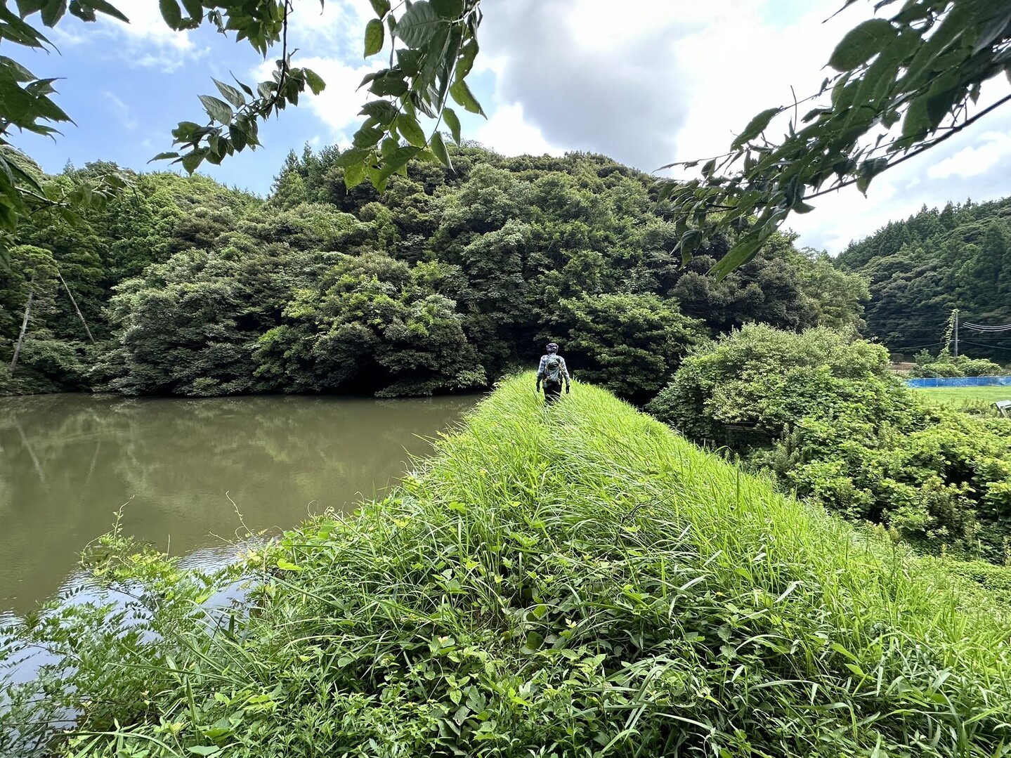 海老山城、空堀(堀切)地帯を歩く / SKYさんの嵩山・和久羅山の活動データ | YAMAP / ヤマップ